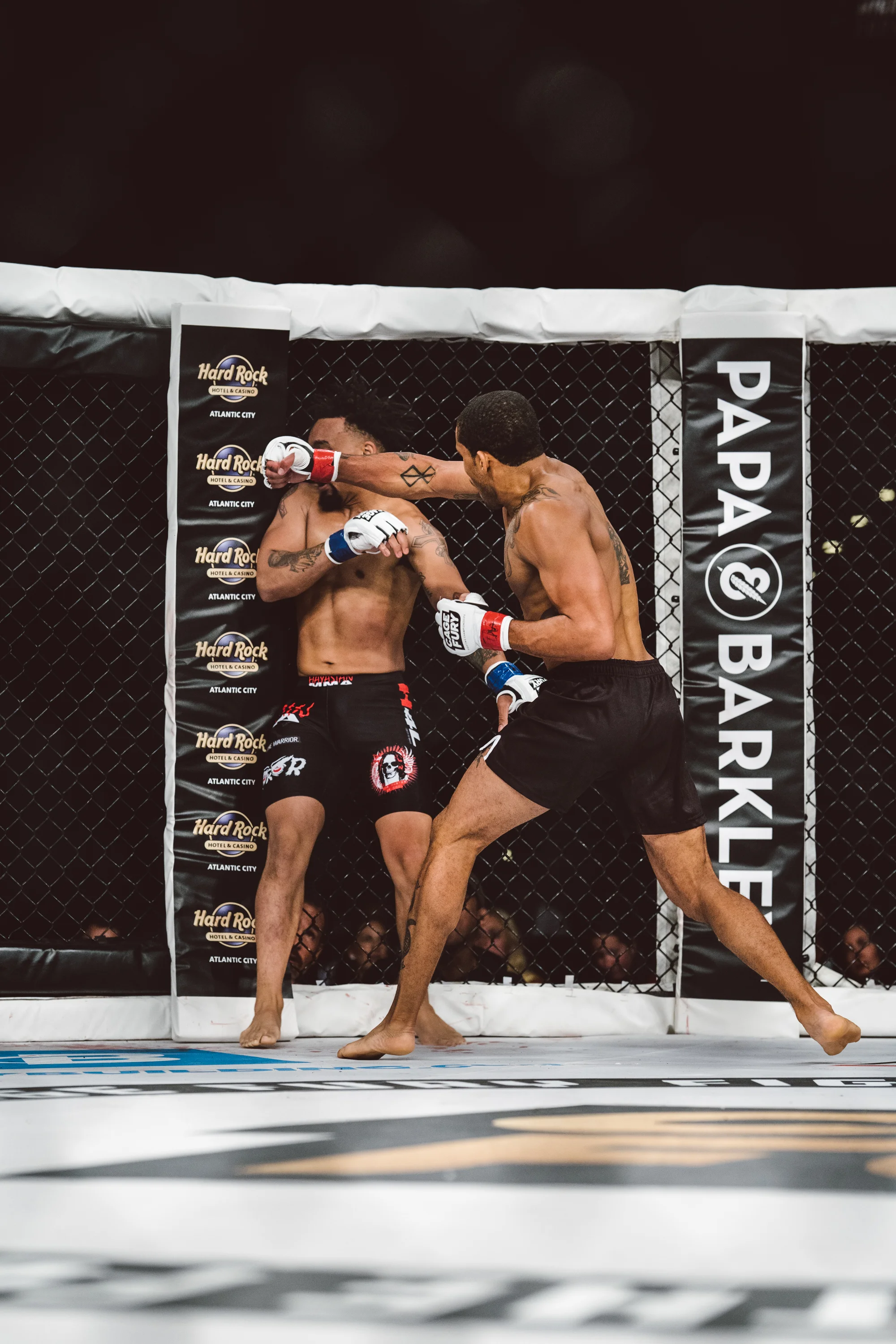 CFFC 77 Official Highlights, Results, and Pictures — Cage Fury Fighting ...