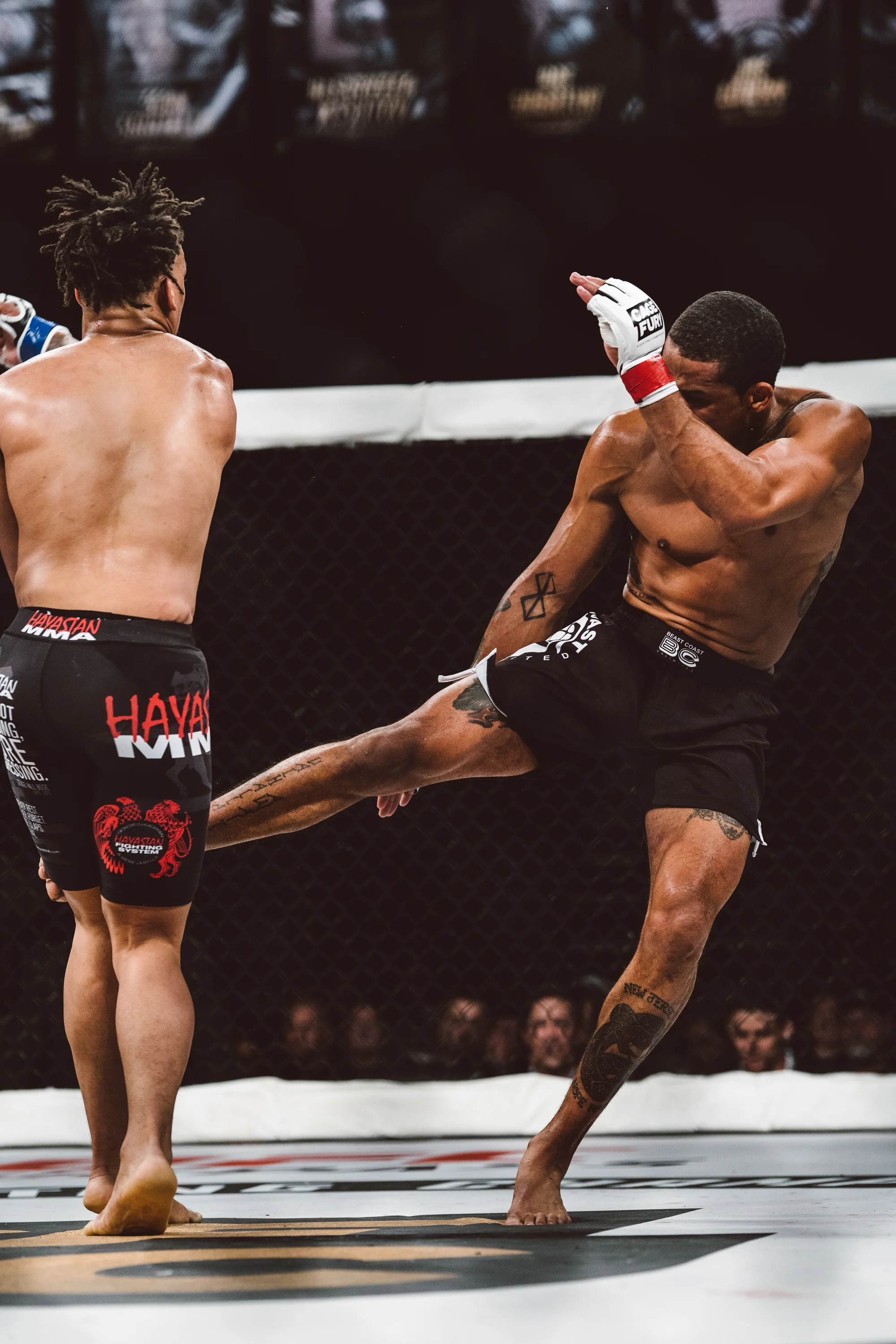 CFFC 77 Official Highlights, Results, and Pictures — Cage Fury Fighting ...