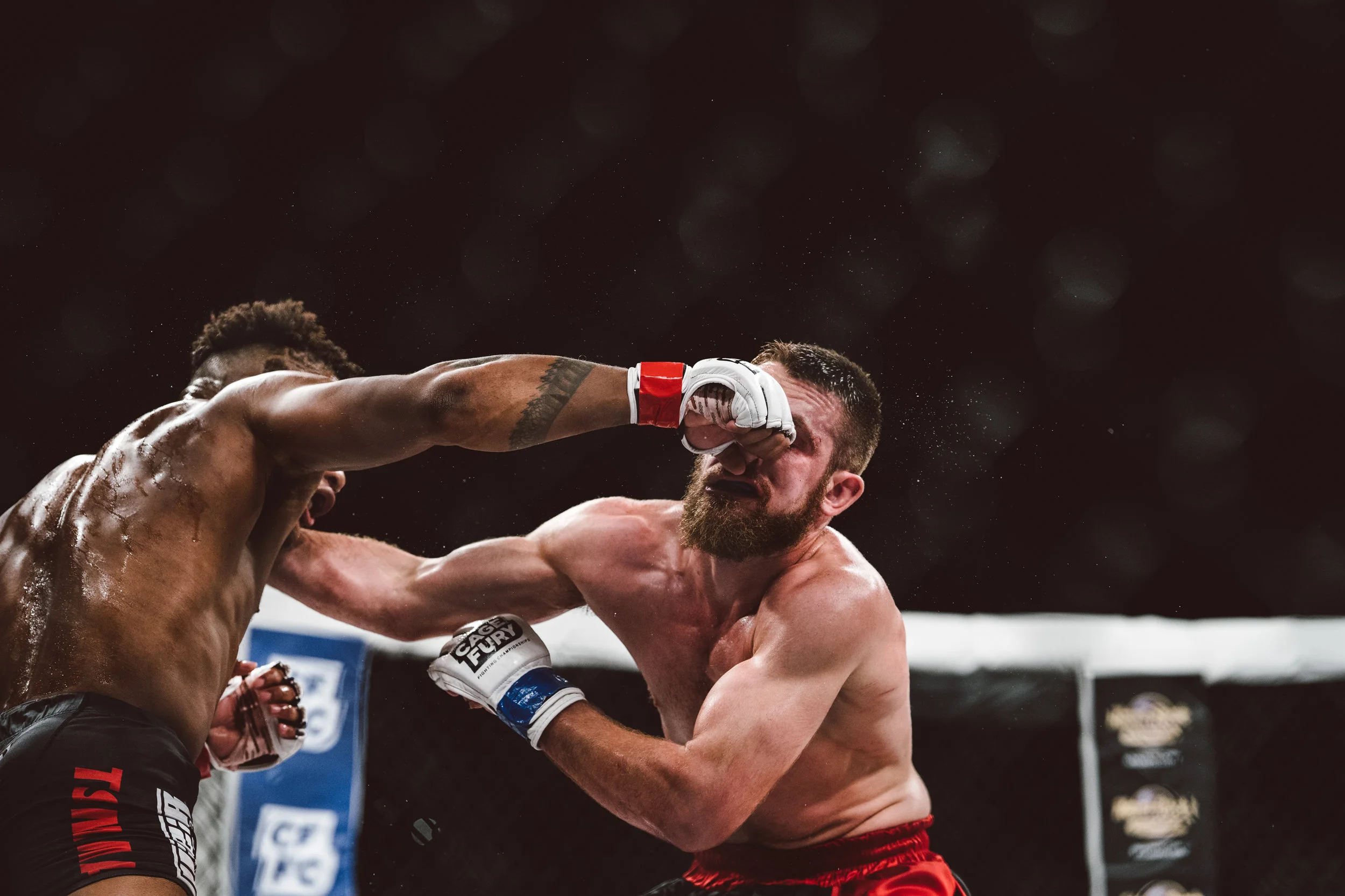 CFFC 77 Official Highlights, Results, and Pictures — Cage Fury Fighting ...