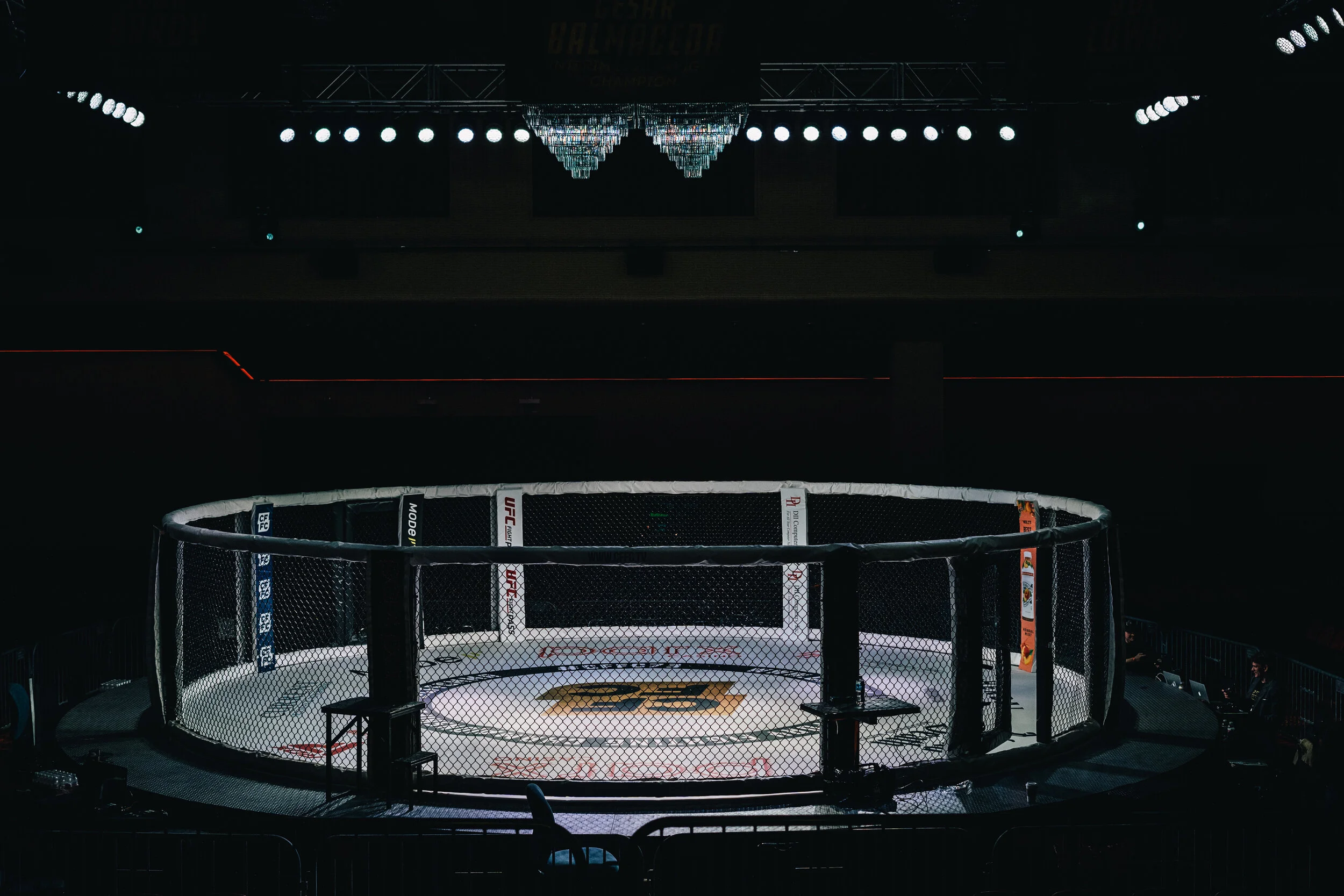 Empty Ufc Octagon