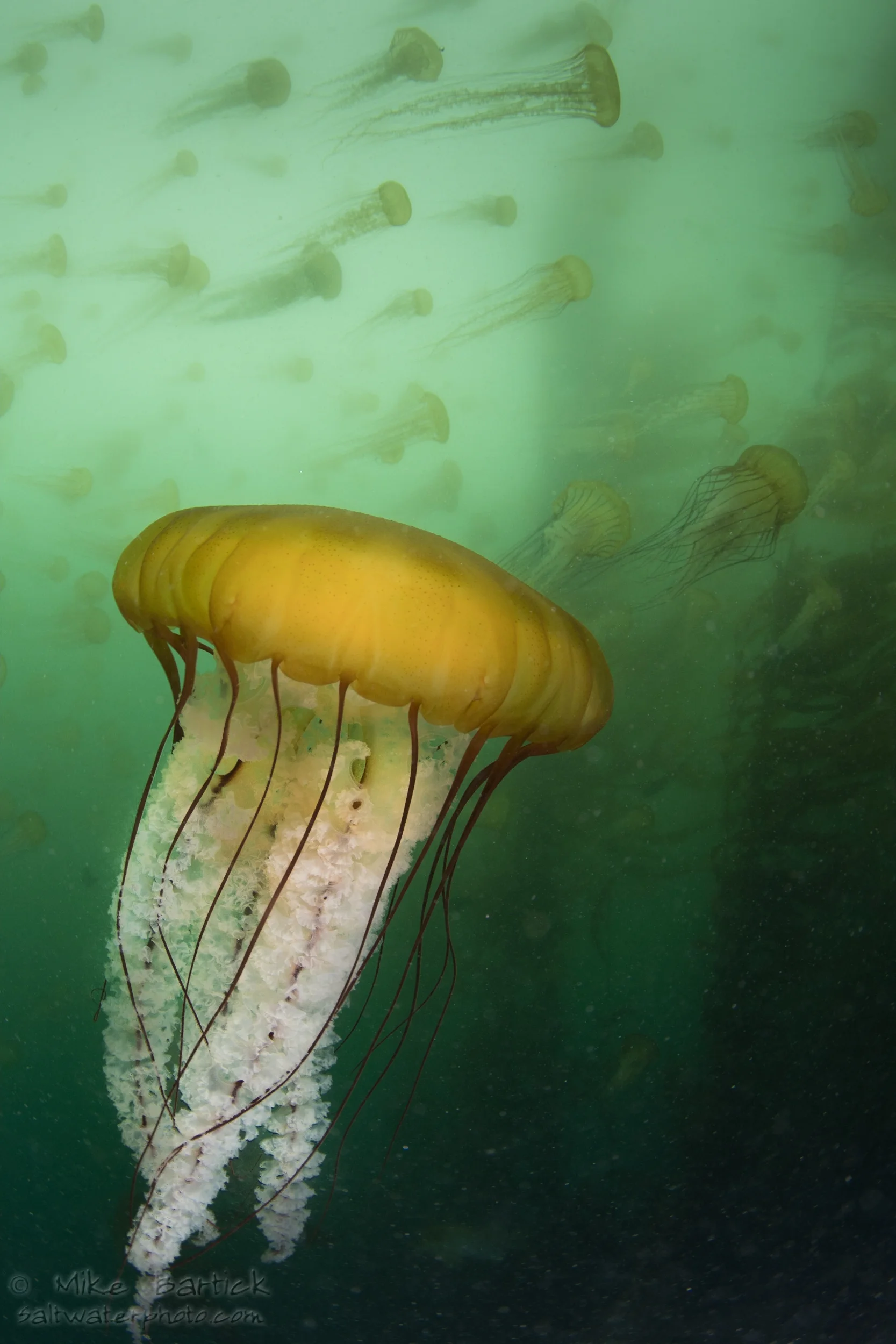 Conversation with Mike Bartick — Henley Spiers Photography