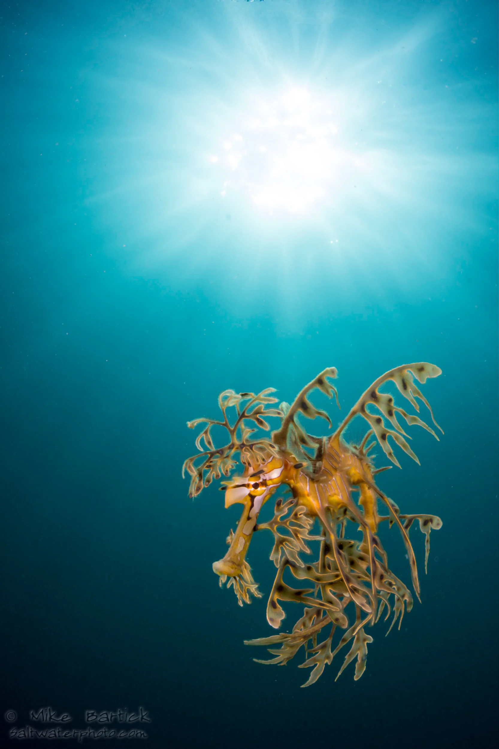 Conversation with Mike Bartick — Henley Spiers Photography