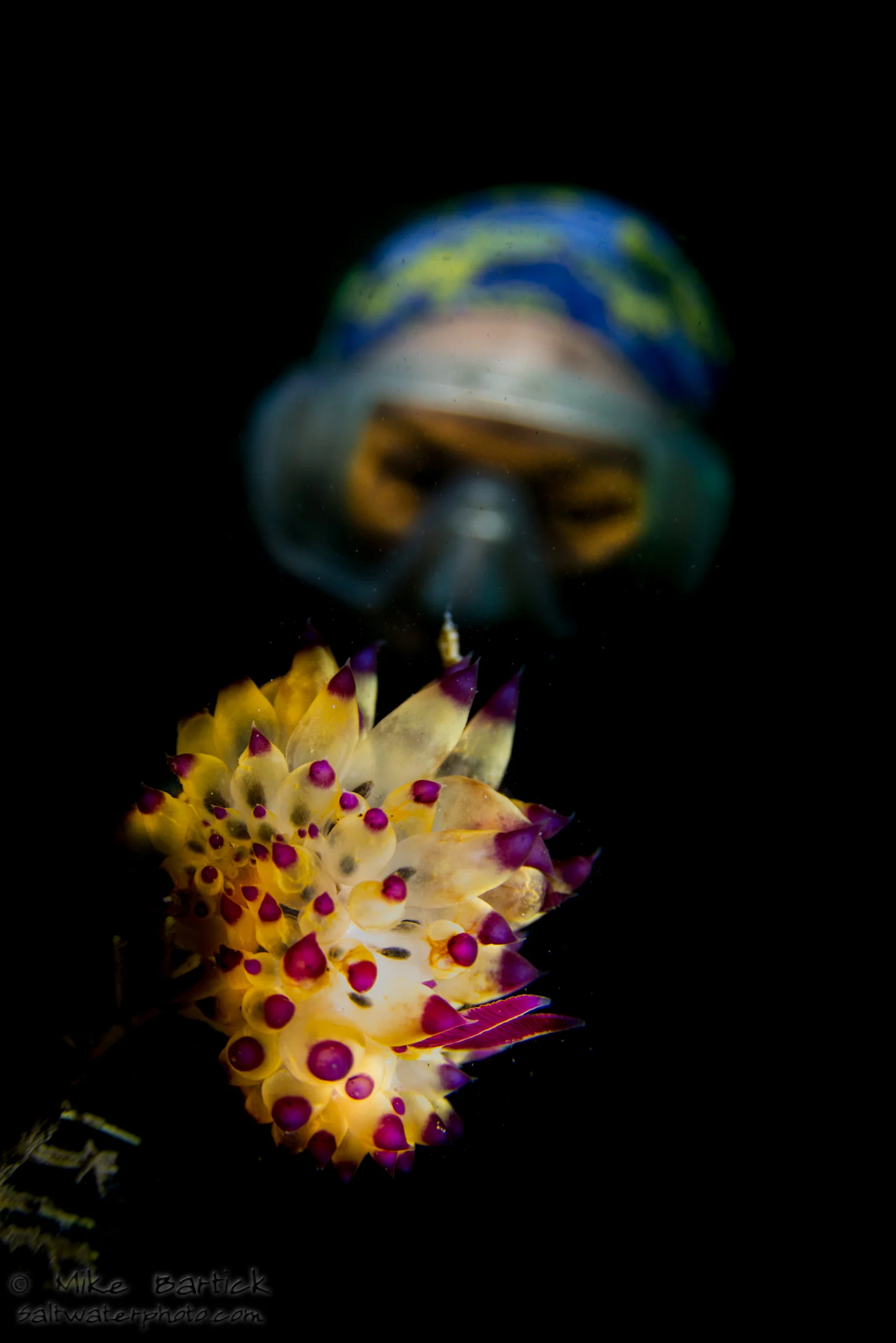 Conversation with Mike Bartick — Henley Spiers Photography