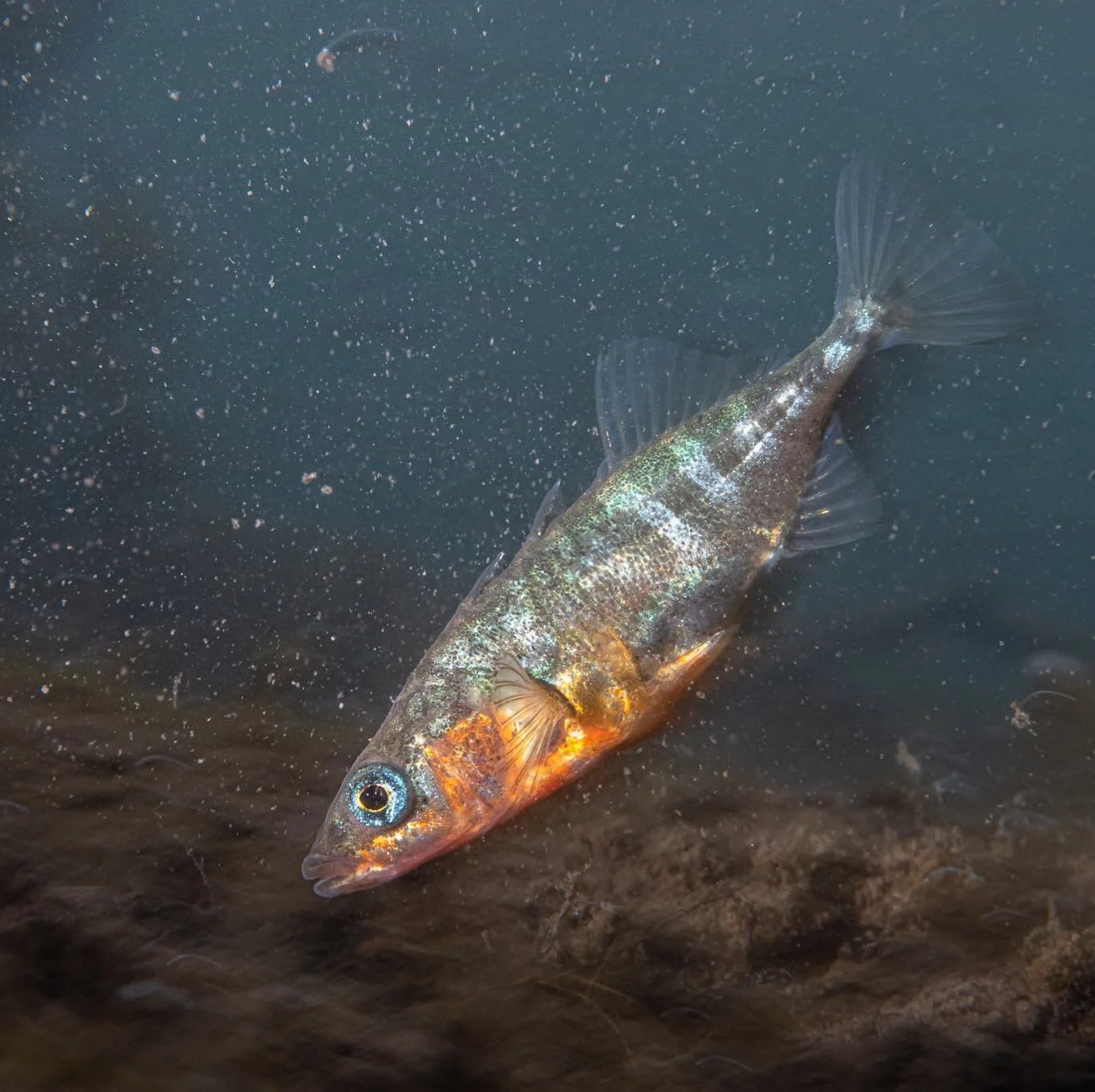 Contact — Henley Spiers Photography