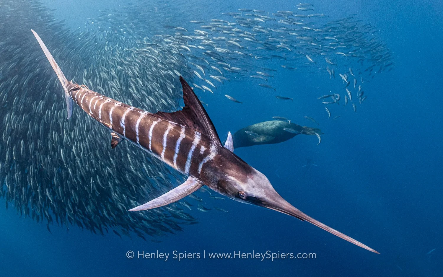 Expeditions — Henley Spiers Photography