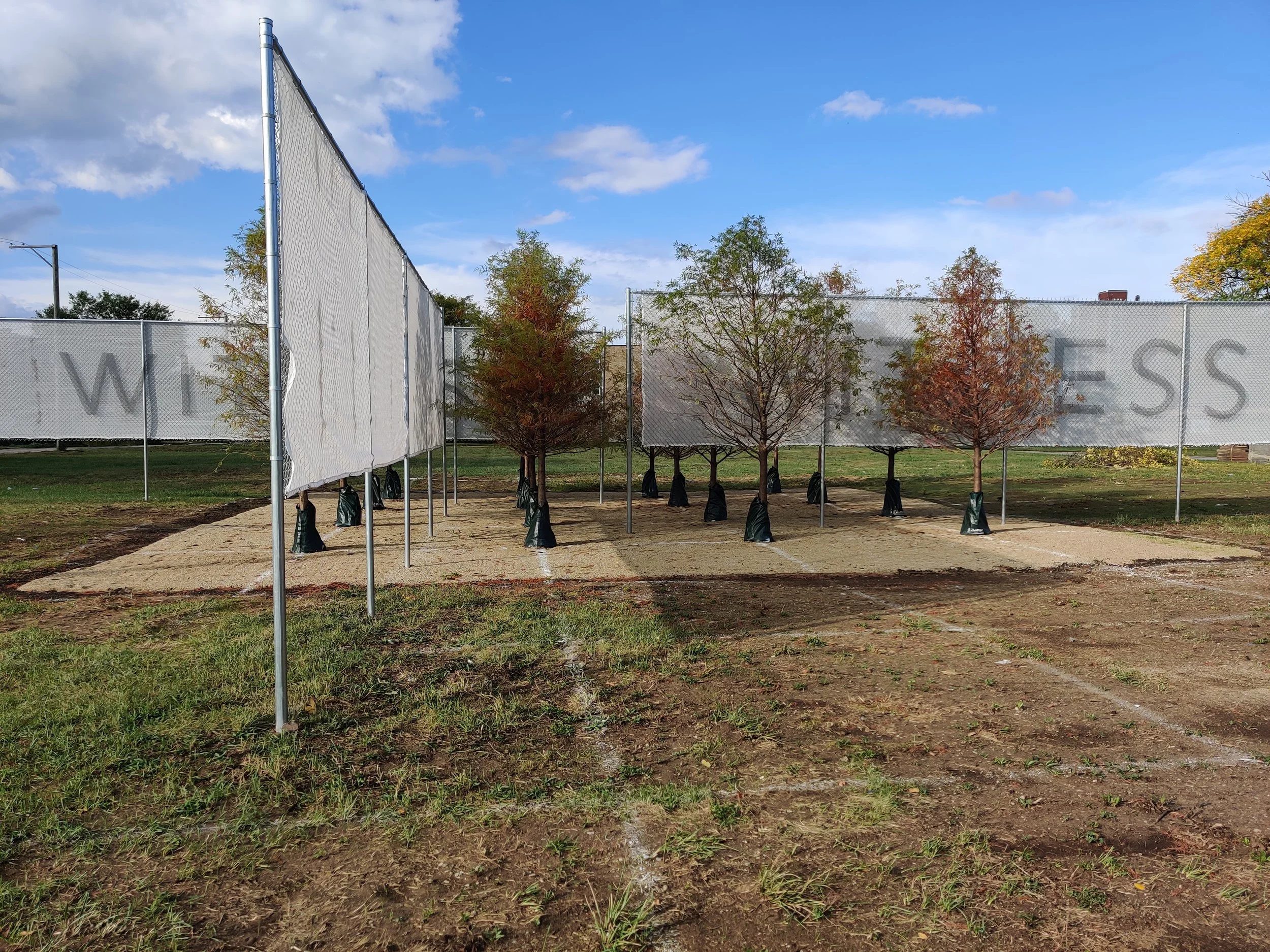 WITNESS TREES — HOOD DESIGN STUDIO