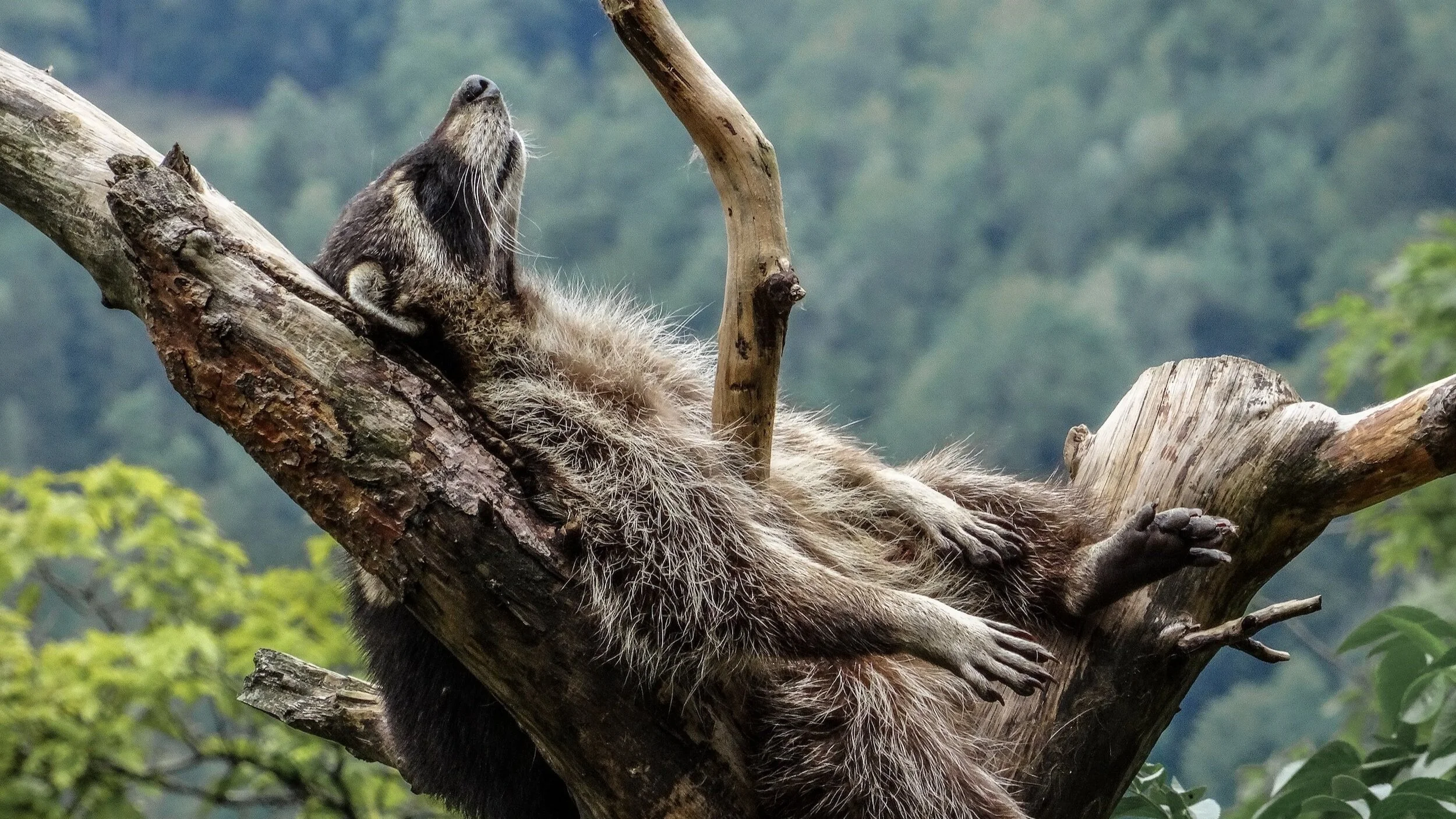 6 Ways to Make Your Life Easier Every Day — My BTLR - Virtual Assistants