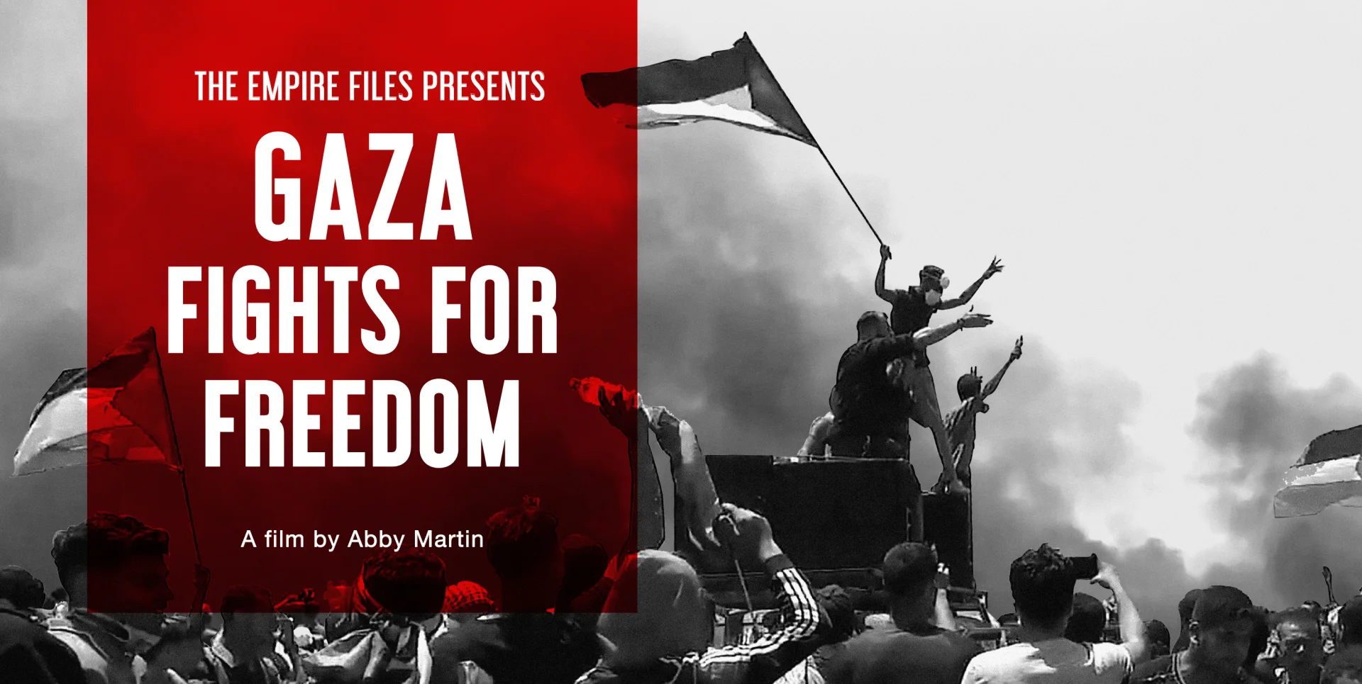 Gaza Fights for Freedom — Brava for Women in the Arts