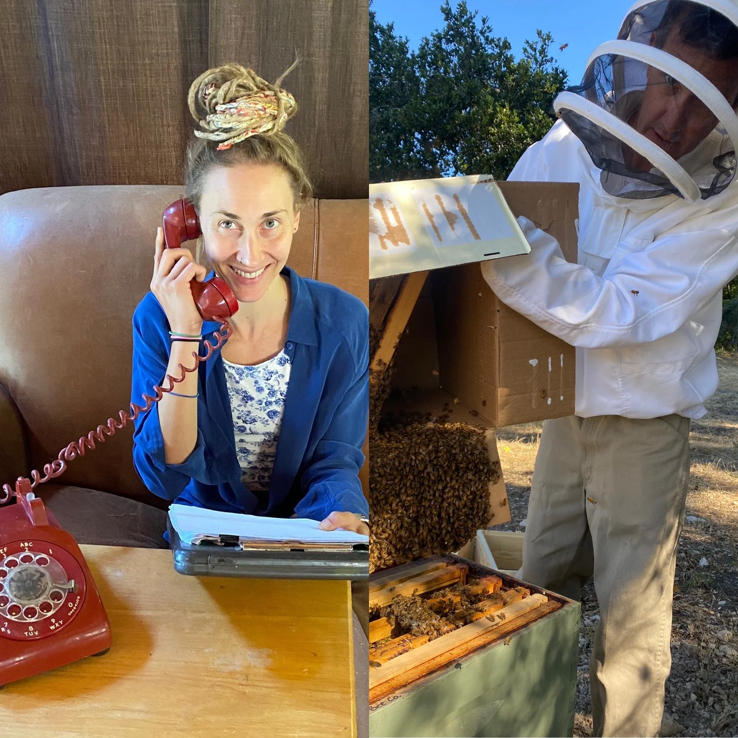 Services — Santa Cruz Bee Company