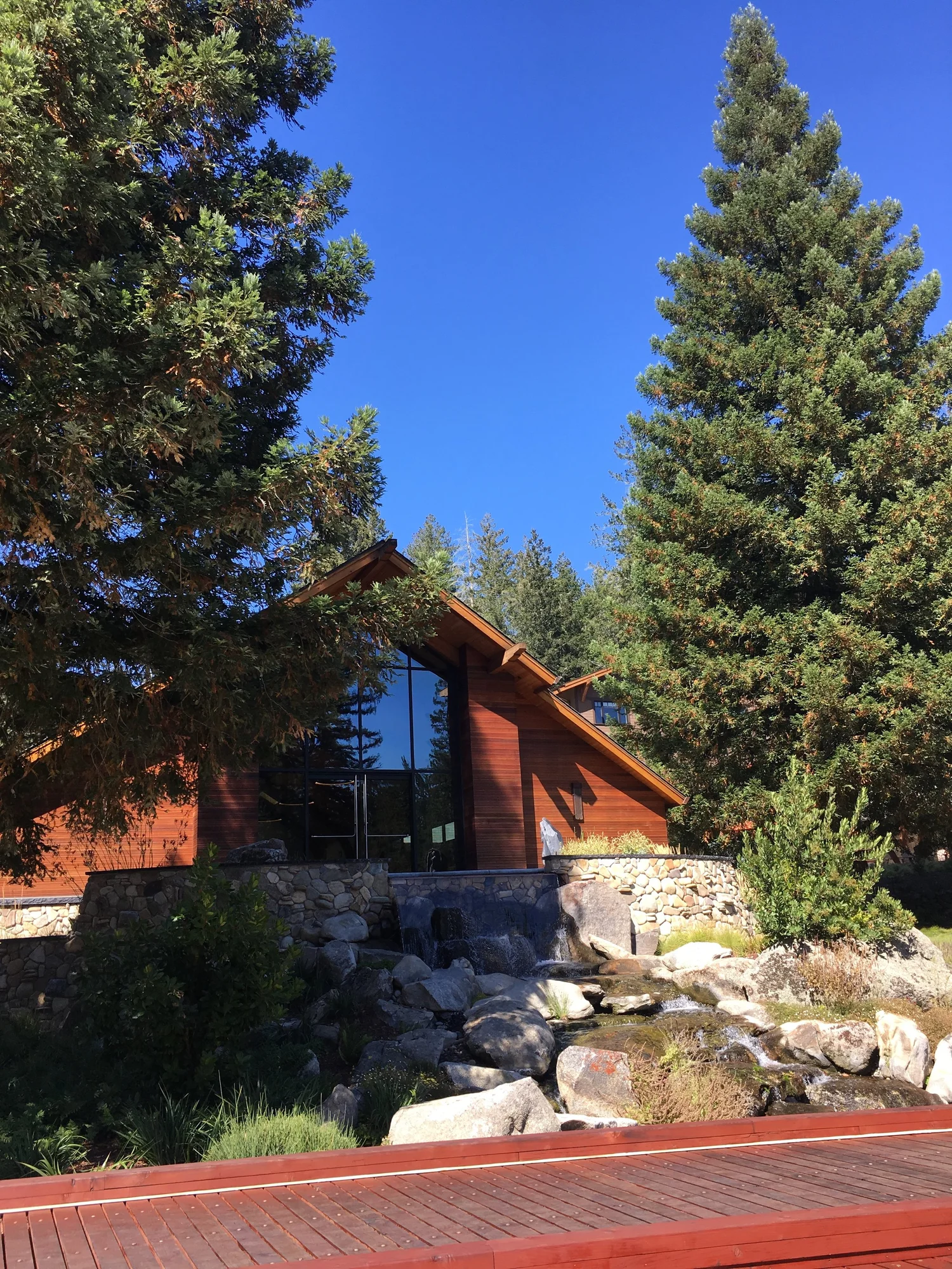 Brave Magic (or How prayers get answers, everything is connected, and ...