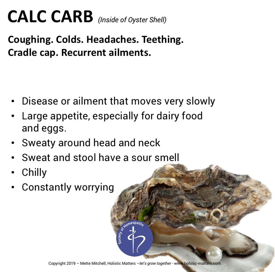 Calcarea Carbonica — Southsea Homeopathy