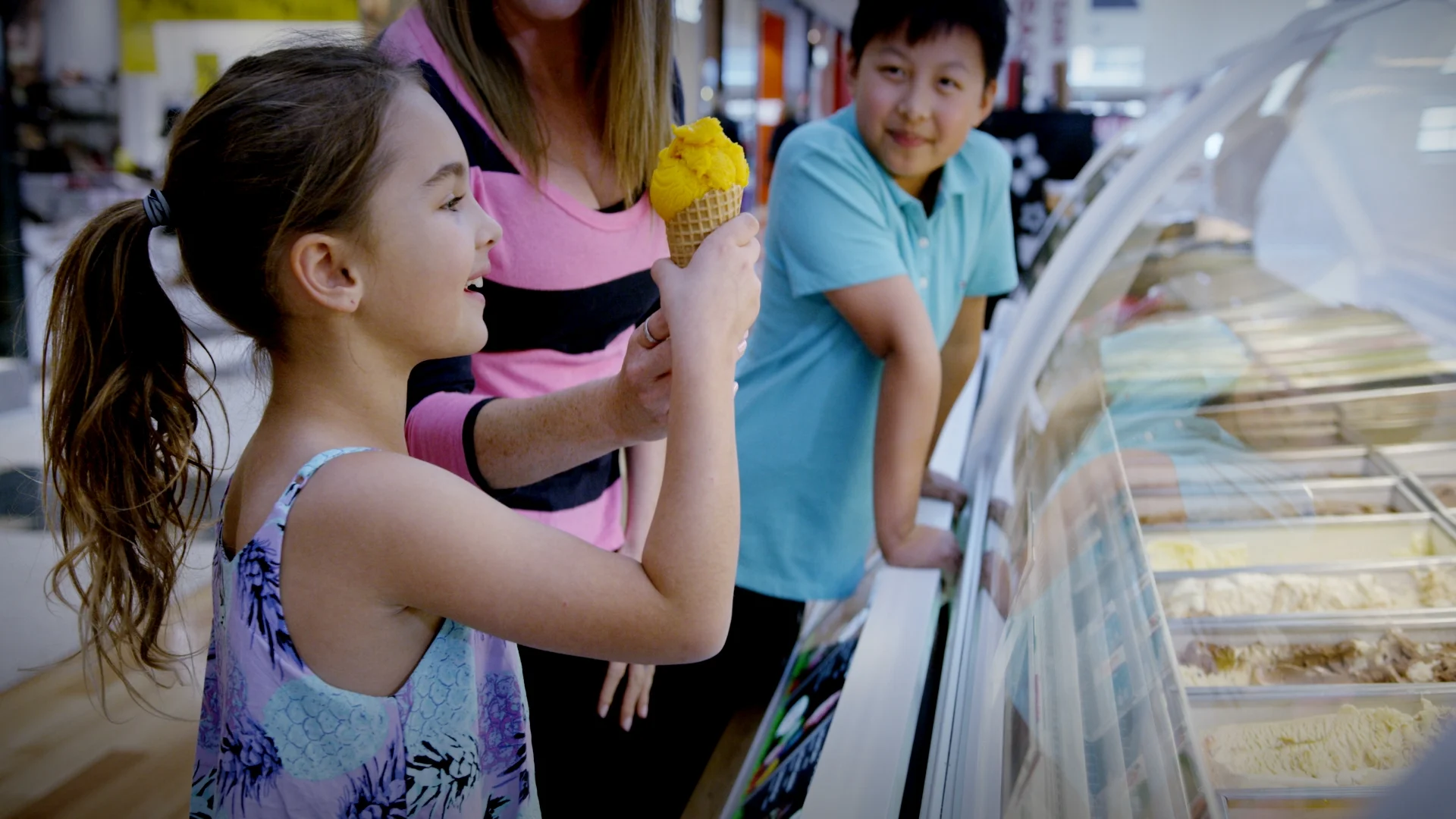 Our Vision — New Zealand Natural Ice Cream Limited