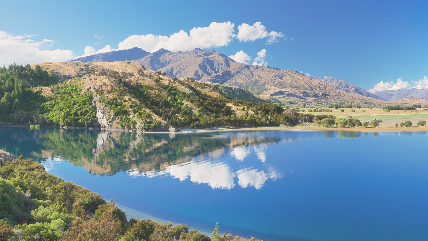 New Zealand Natural Ice Cream Limited