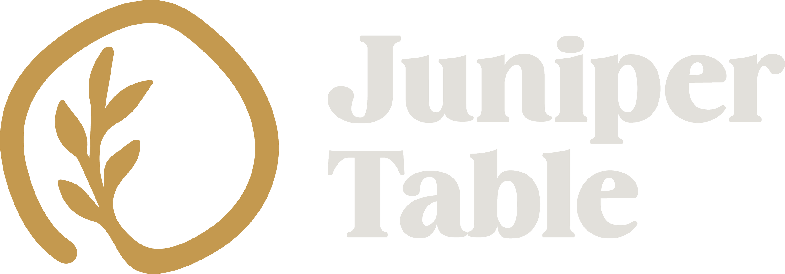Juniper Logo Png