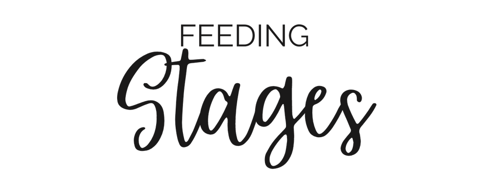 Feeding Strategies for Your Child's Age — Veggies & Virtue