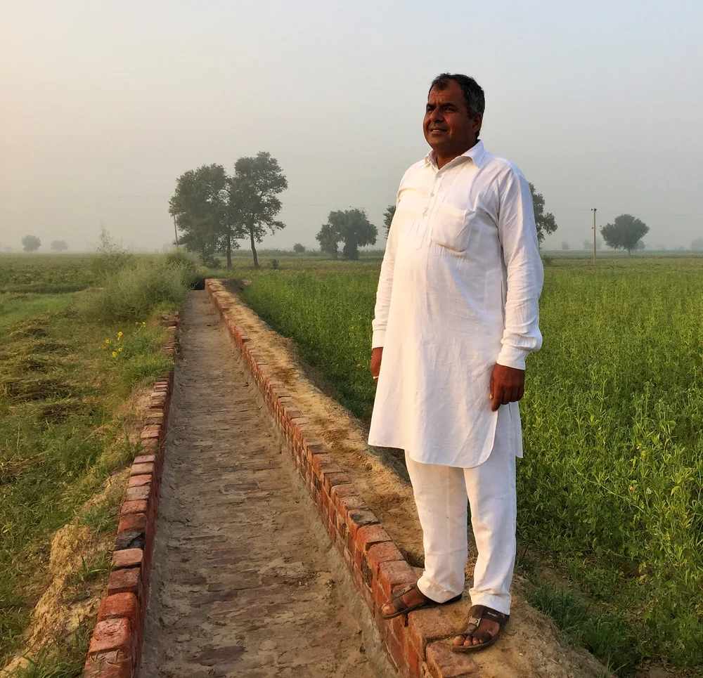 On the trail of the Sheesham tree — Scott Poynton Guiding