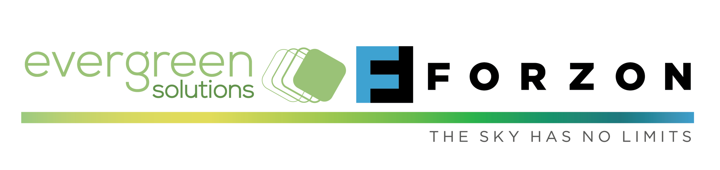 Evergreen Solutions — Evergreen Solutions