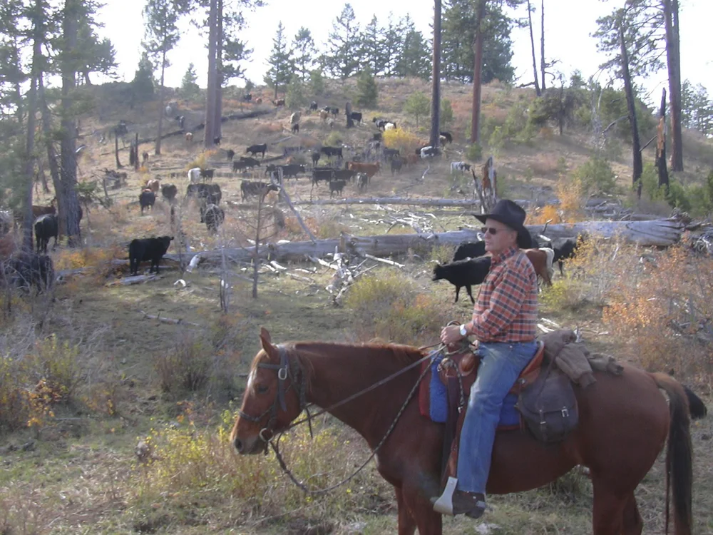 Grass-Fed, Grass-Finished Beef— Mountain Beef