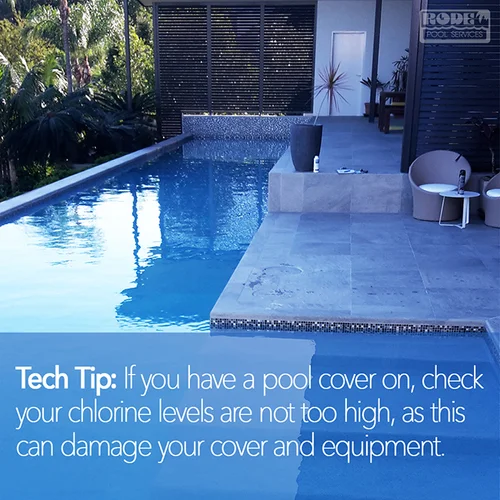 Swimming Pool Tips