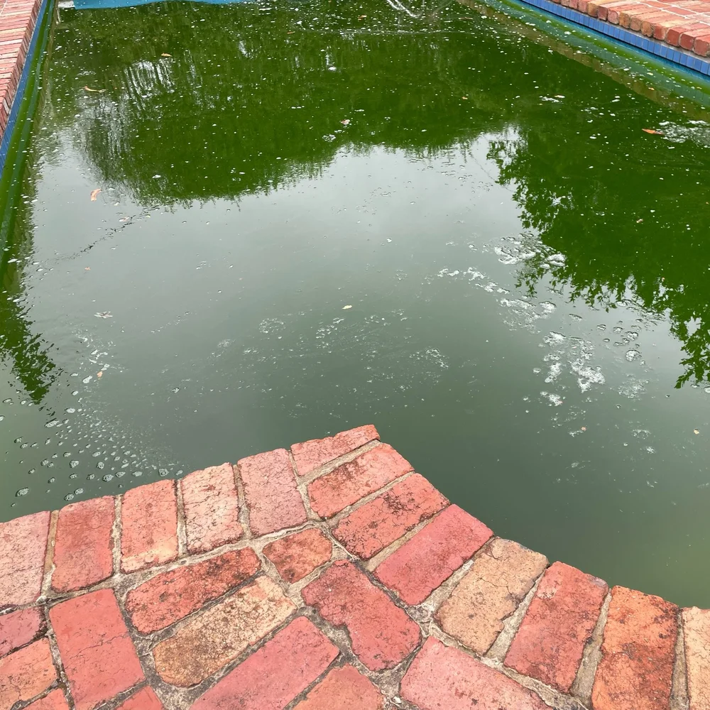 Wet Weather Guide - Rode Pool Services