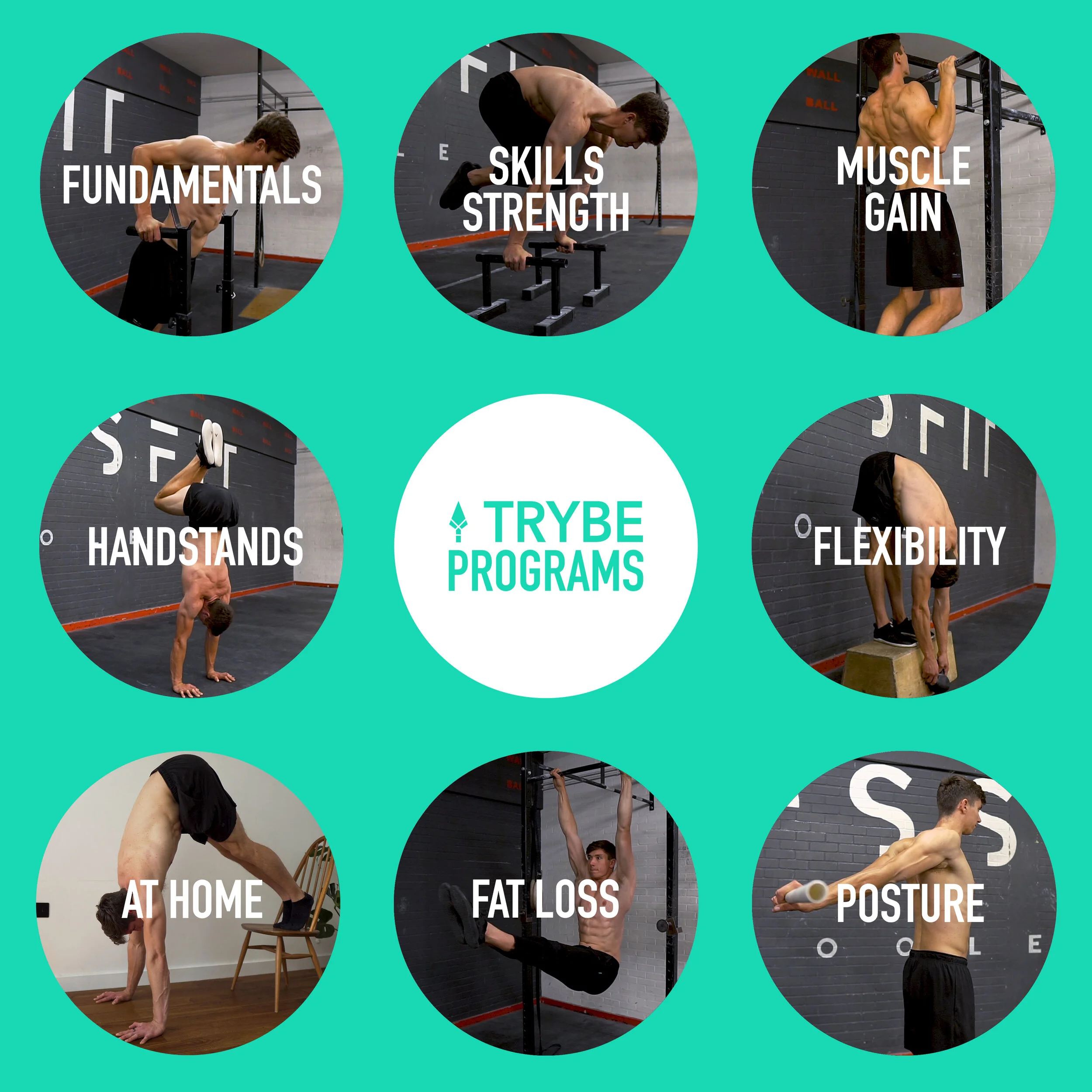 Shop — Bodyweight Warrior