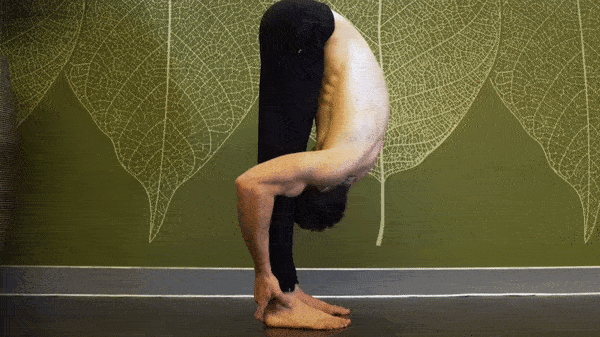 How Flexible Are You?! | Flexibility Levels — Bodyweight Warrior