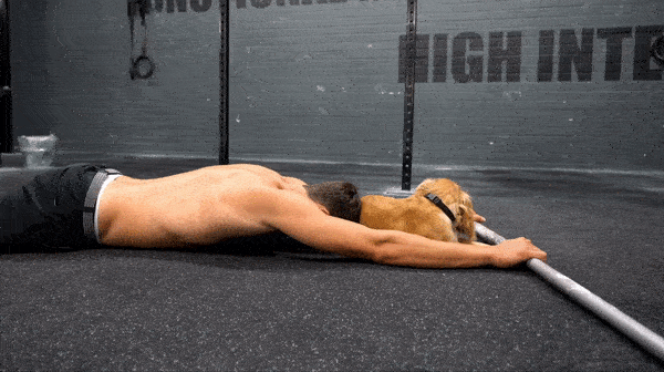 How Flexible Are You?! | Flexibility Levels — Bodyweight Warrior