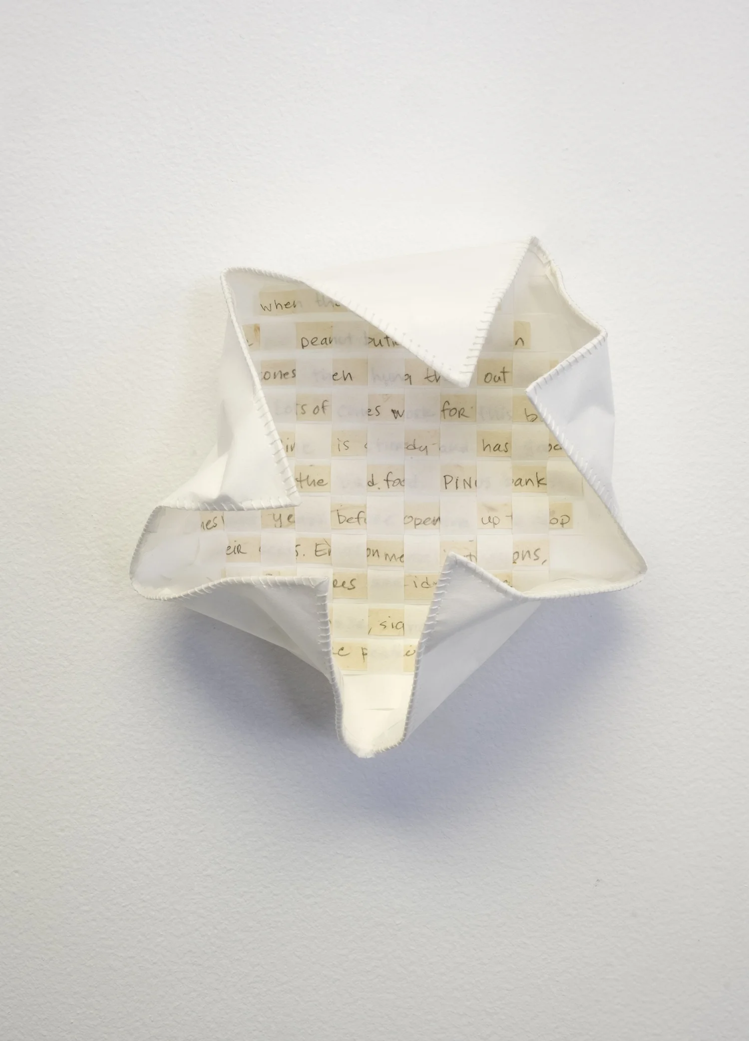 Susanna Gaunt-Field Notes