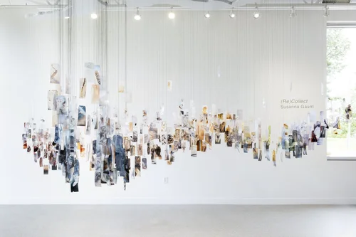 Susanna Gaunt-Field Notes