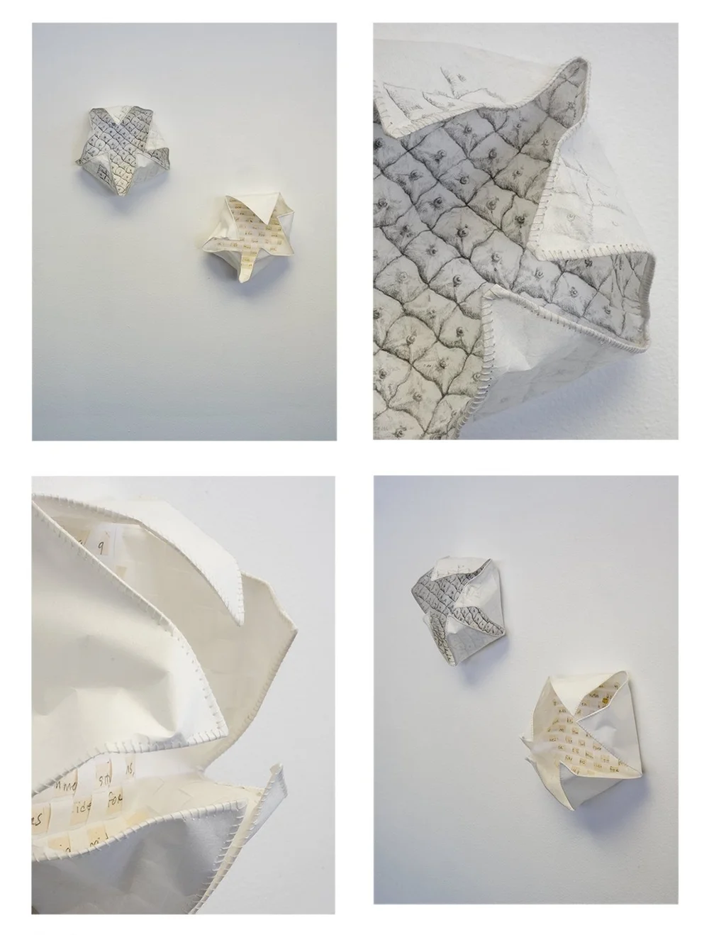 Susanna Gaunt-Field Notes