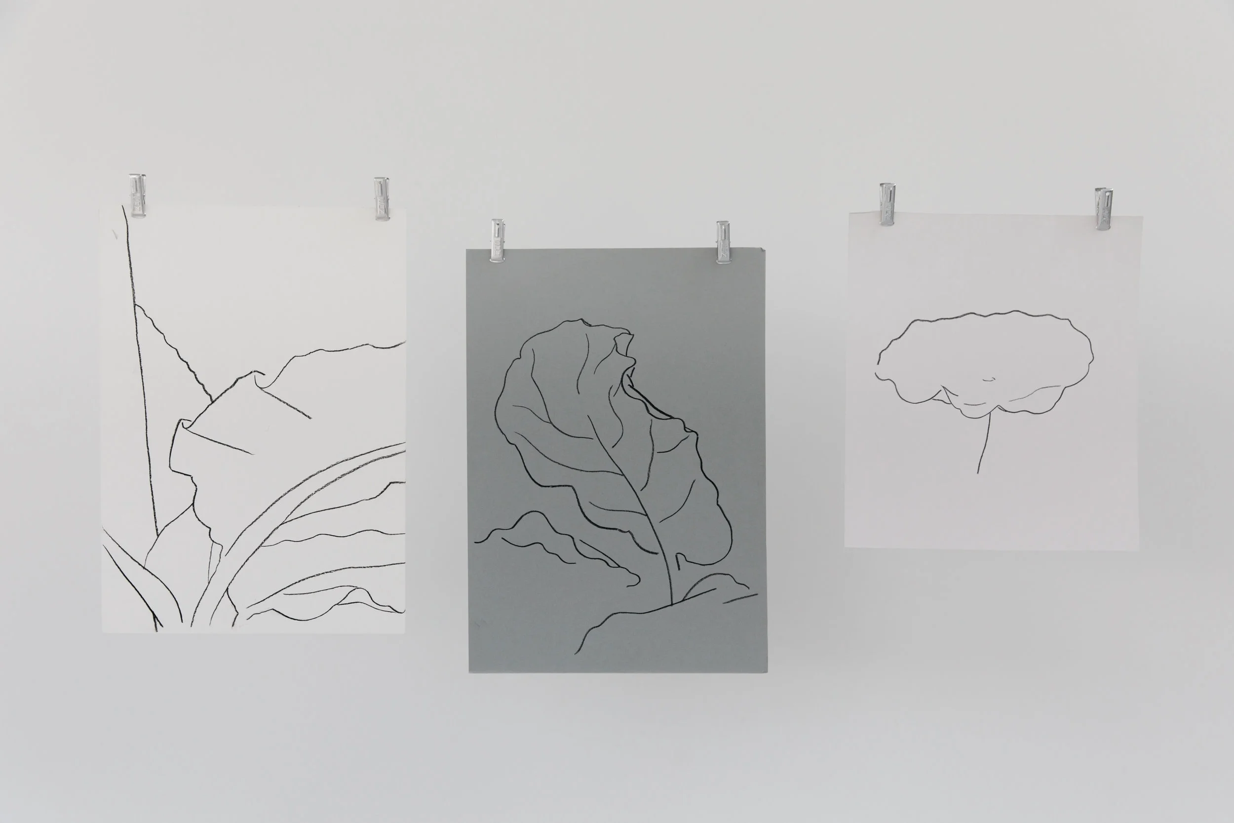 In The Studio With - David Callow — Rye London