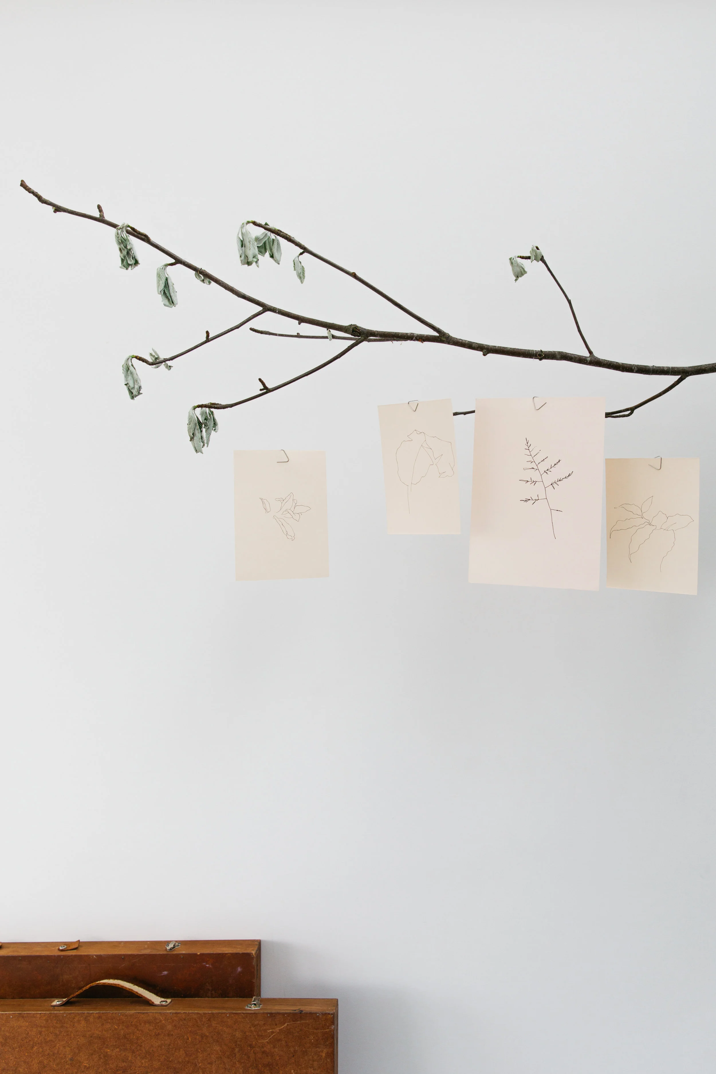 In The Studio With - David Callow — Rye London