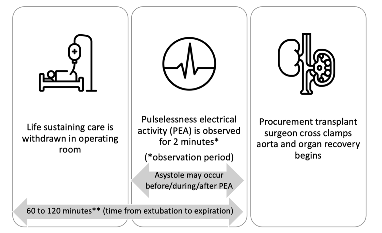 How to Define Death: Variation in Donation After Circulatory Death ...