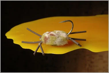 Best Permit Flies - Fly Fishing for Permit — The Permit People