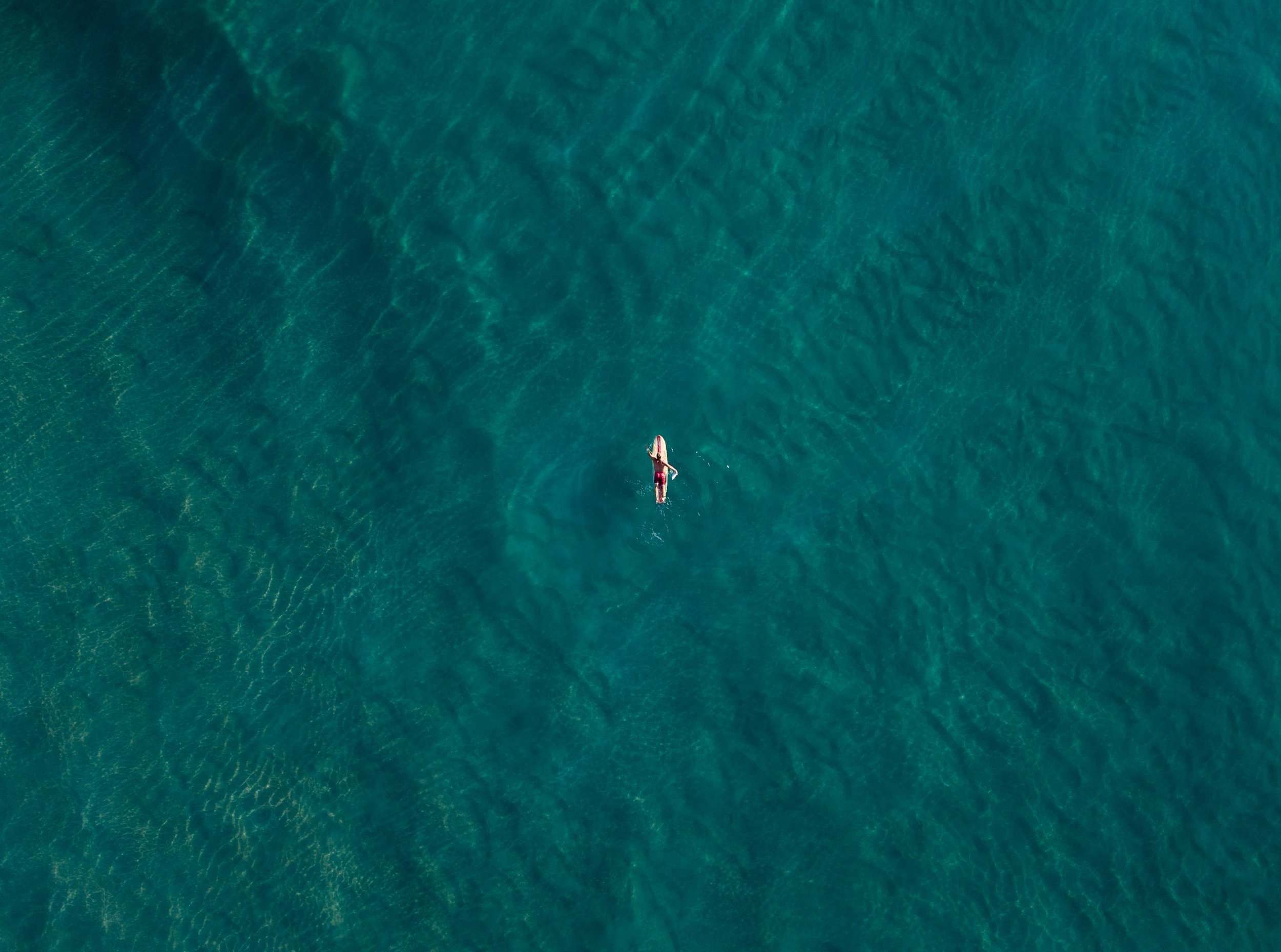 Clean Water | Support Water Conservation — Our Children's Earth Foundation