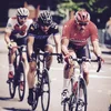 christopher j. wahl — Christopher J. Wahl, MD | SPORTS MEDICINE SURGEON