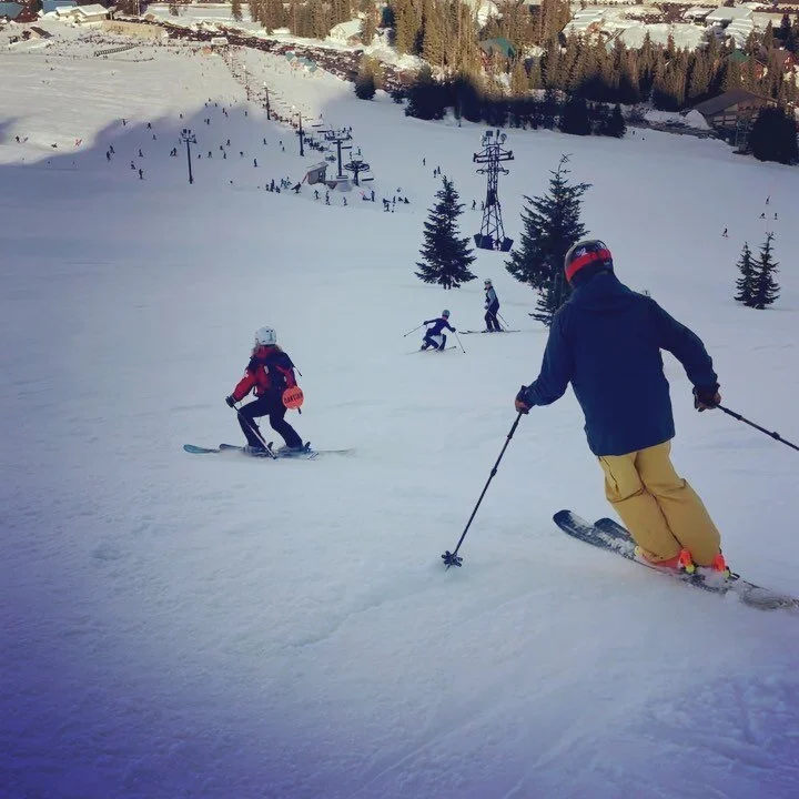 Cartilage Grading : Outerbridge Scale — Christopher J. Wahl, MD ...