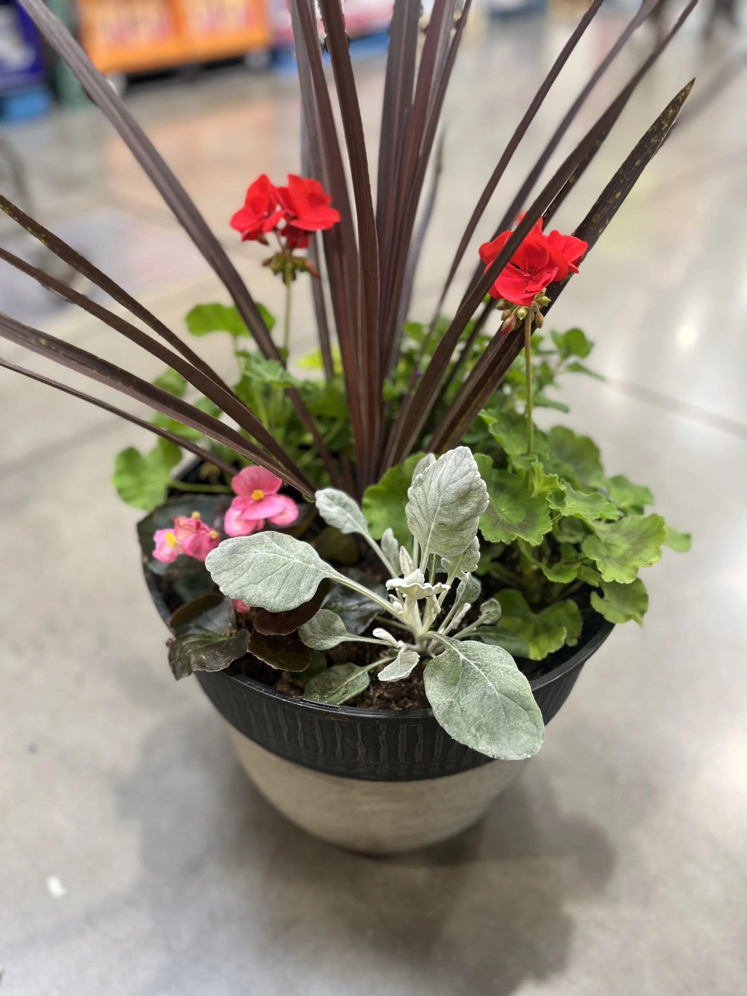 Planters — Errand Up