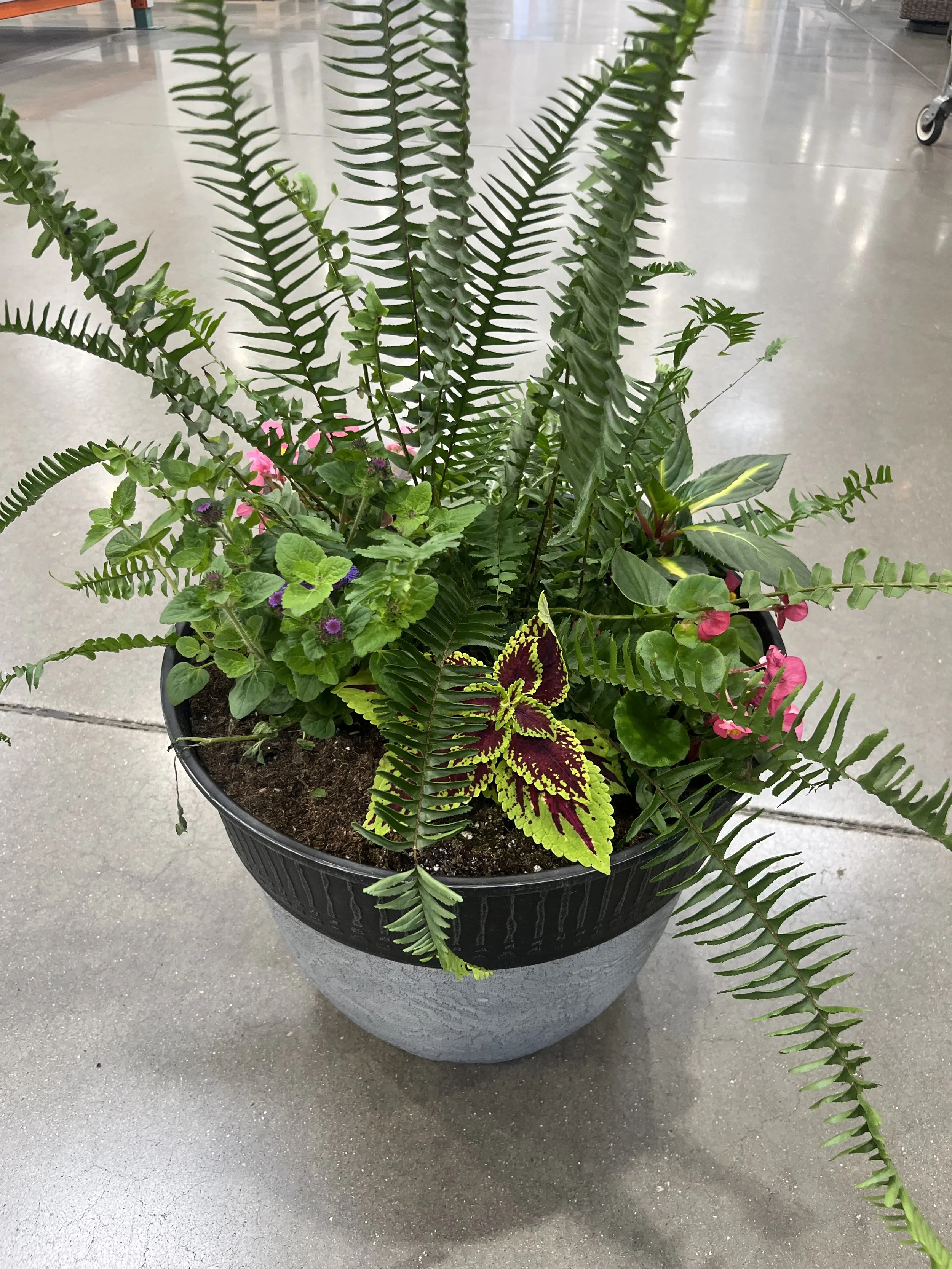 Planters — Errand Up