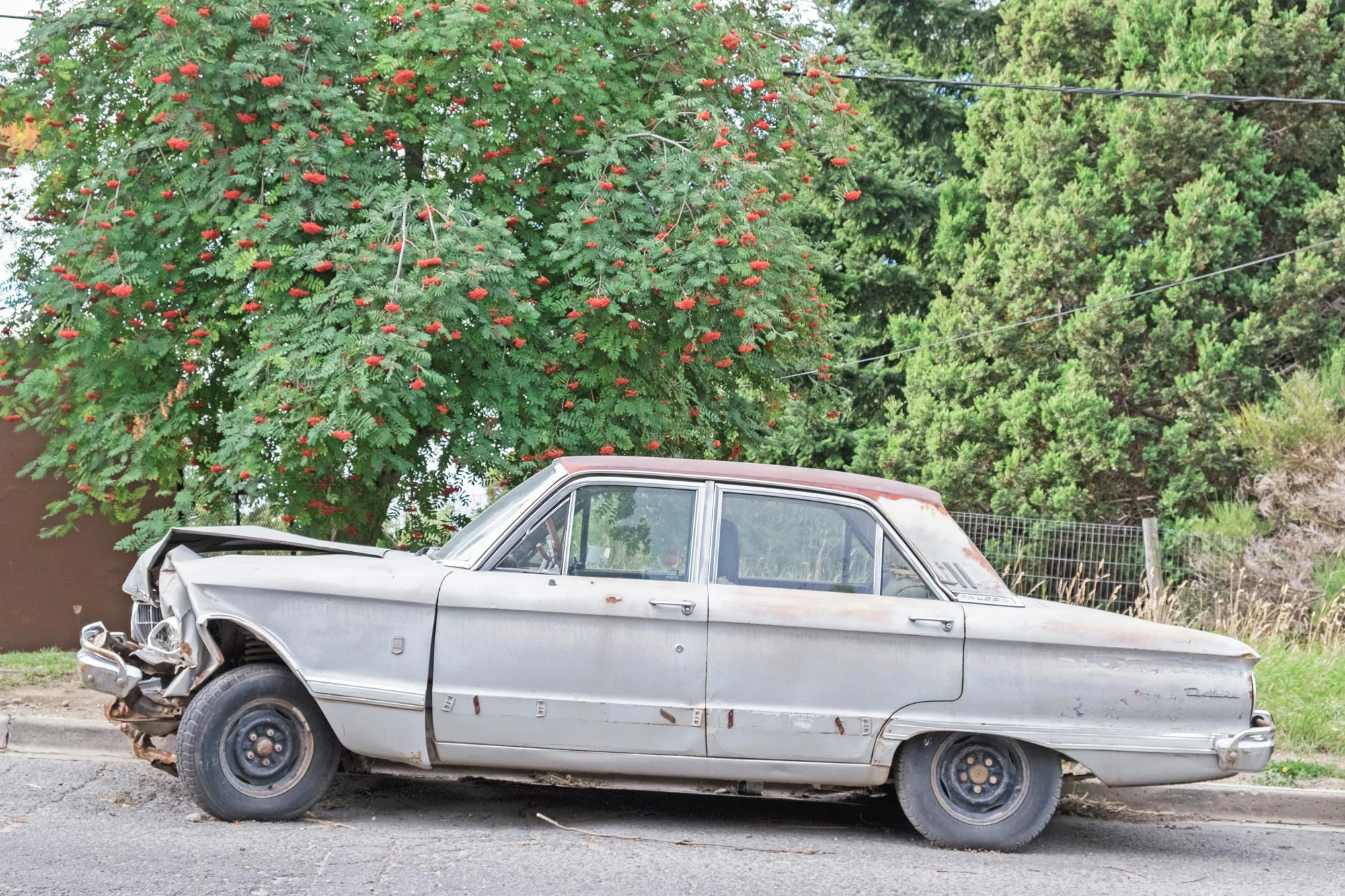Argentina's Ford Falcon: A Truly Durable Car — WILL BYERS | Photography ...