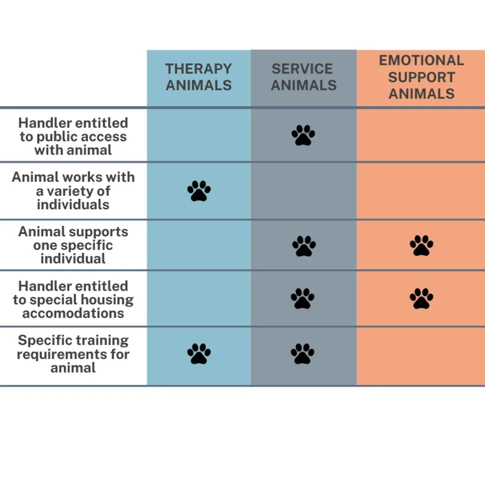 FAQs | Therapy Dog Training & Volunteering - CTCorps