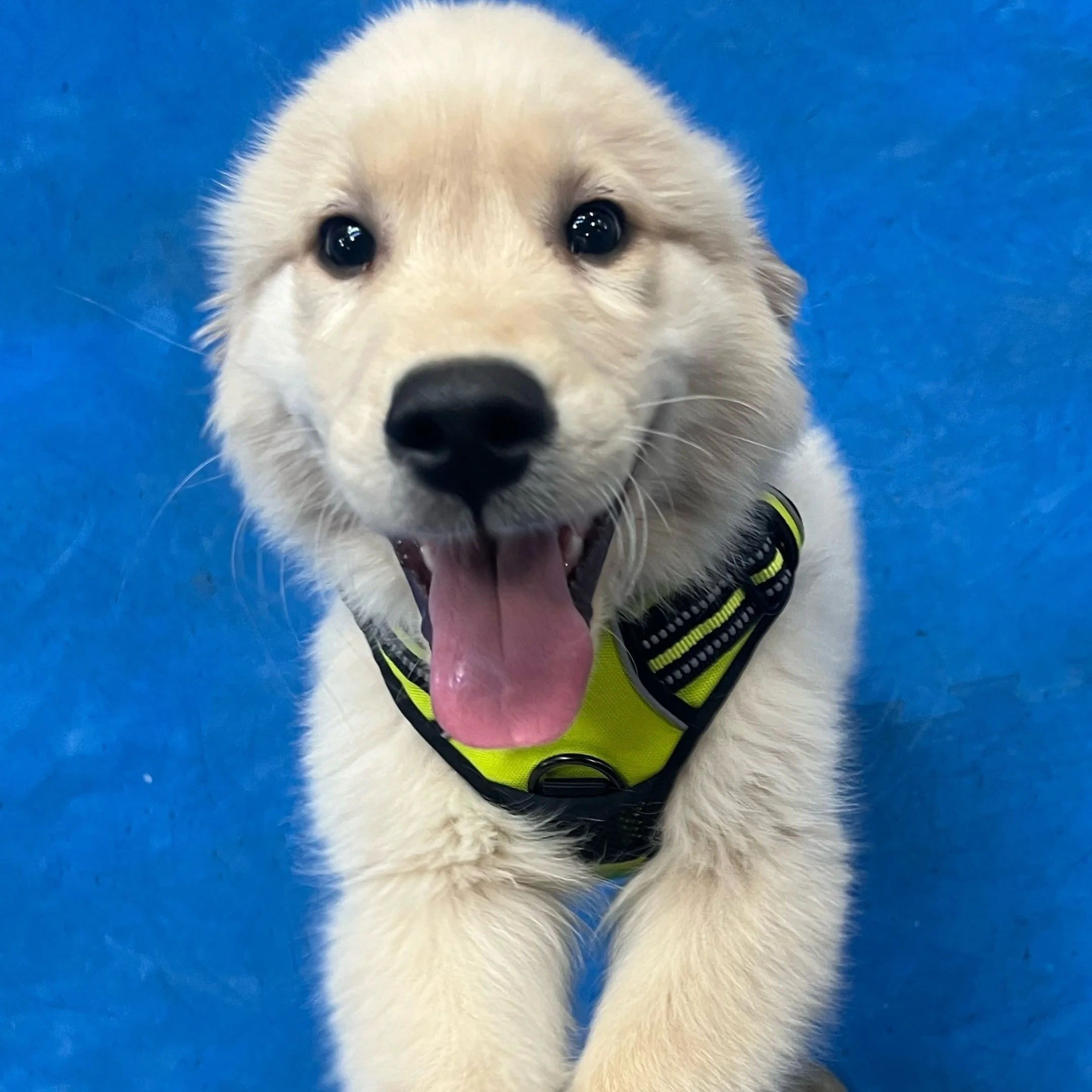 Group Classes - CTCorps