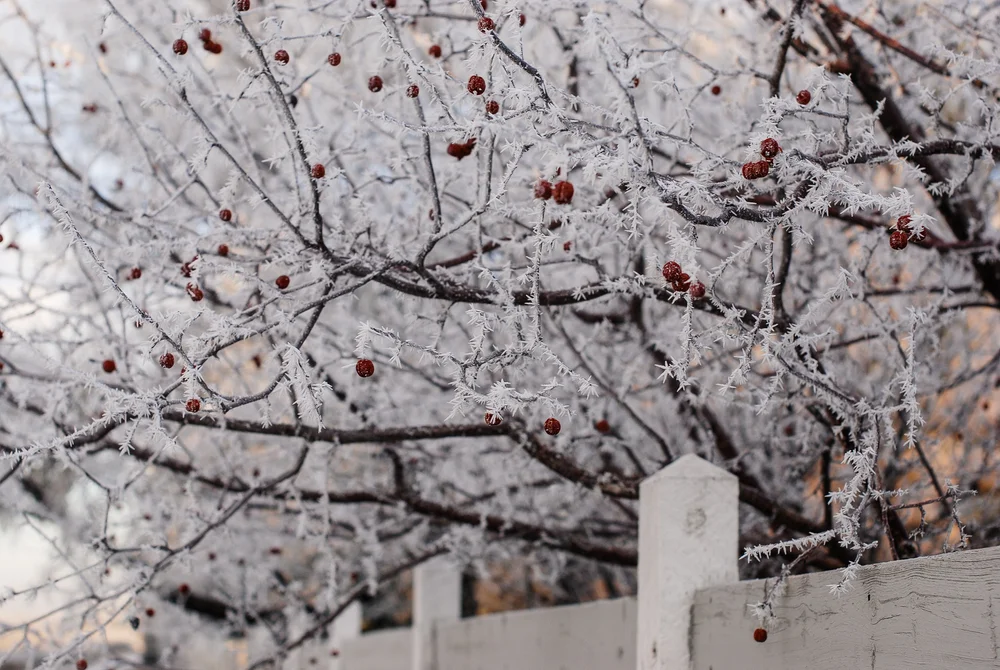 Winter - My Delinquent Palace, My Secret Place — Transactions with Beauty