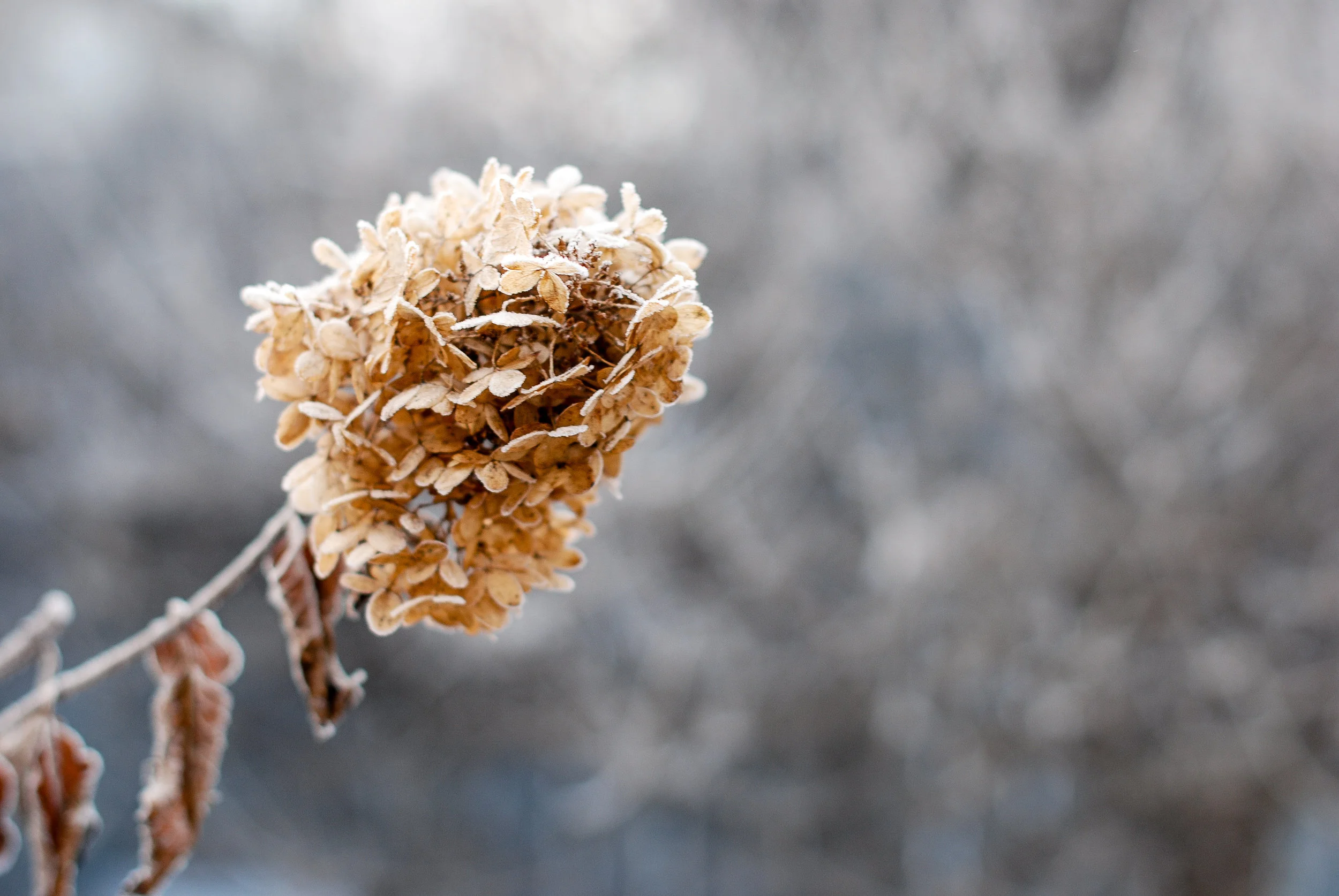 How to Live More Poetically — Transactions with Beauty