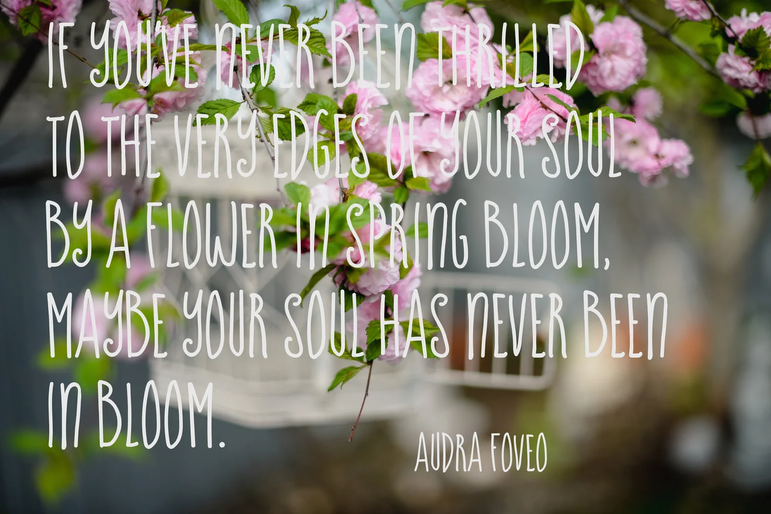 5 Spring Quotations to Make Your Soul Bloom — Transactions with Beauty