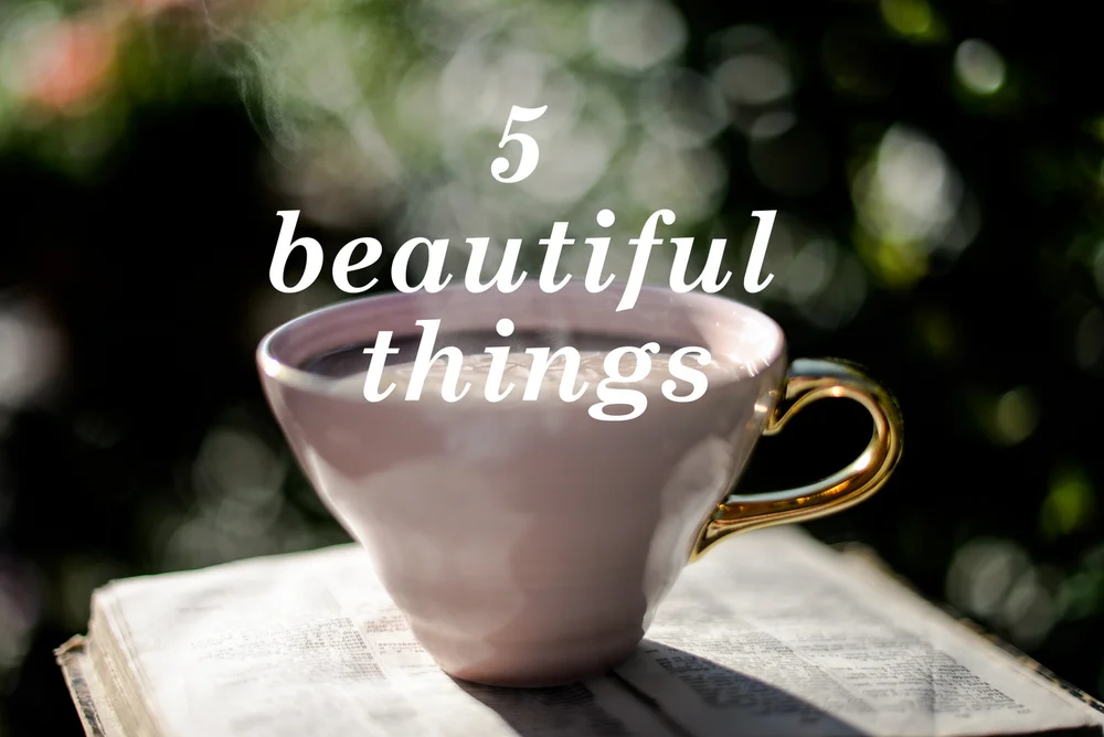 Beautiful Things In Life