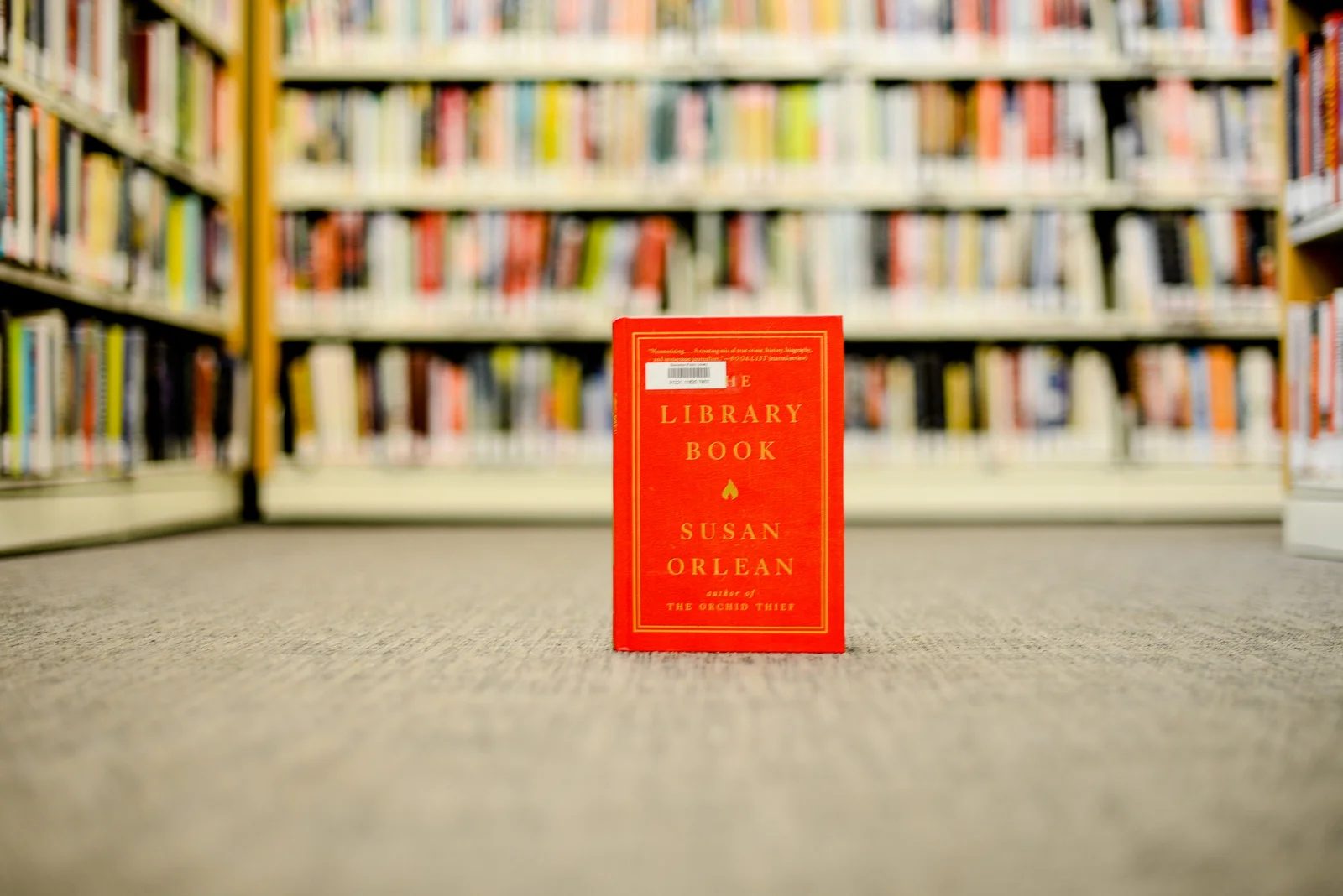 10 More Things I’ve Learned Working at the Public Library ...