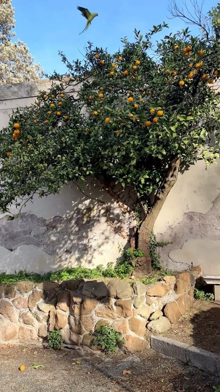 5 Poems About Libraries — Transactions with Beauty