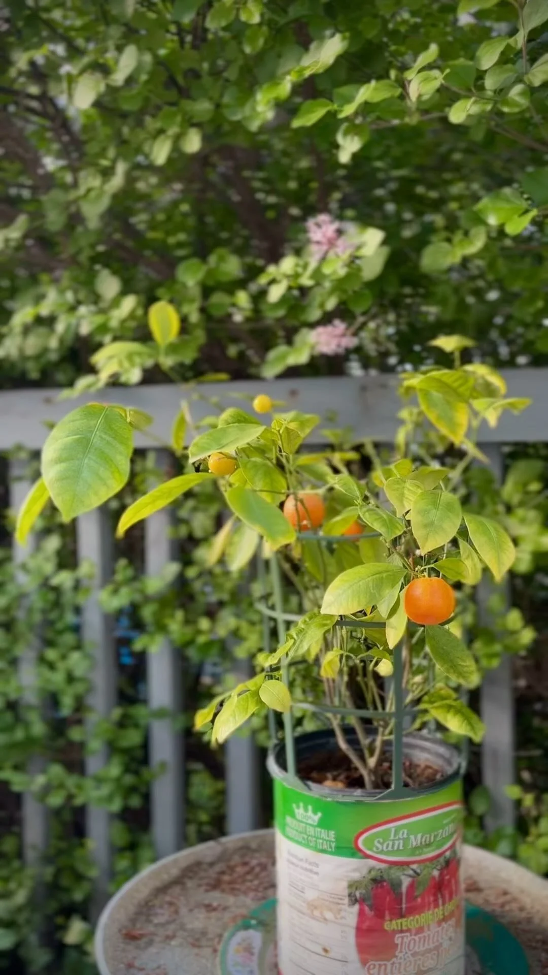 5 Poems About Libraries — Transactions with Beauty