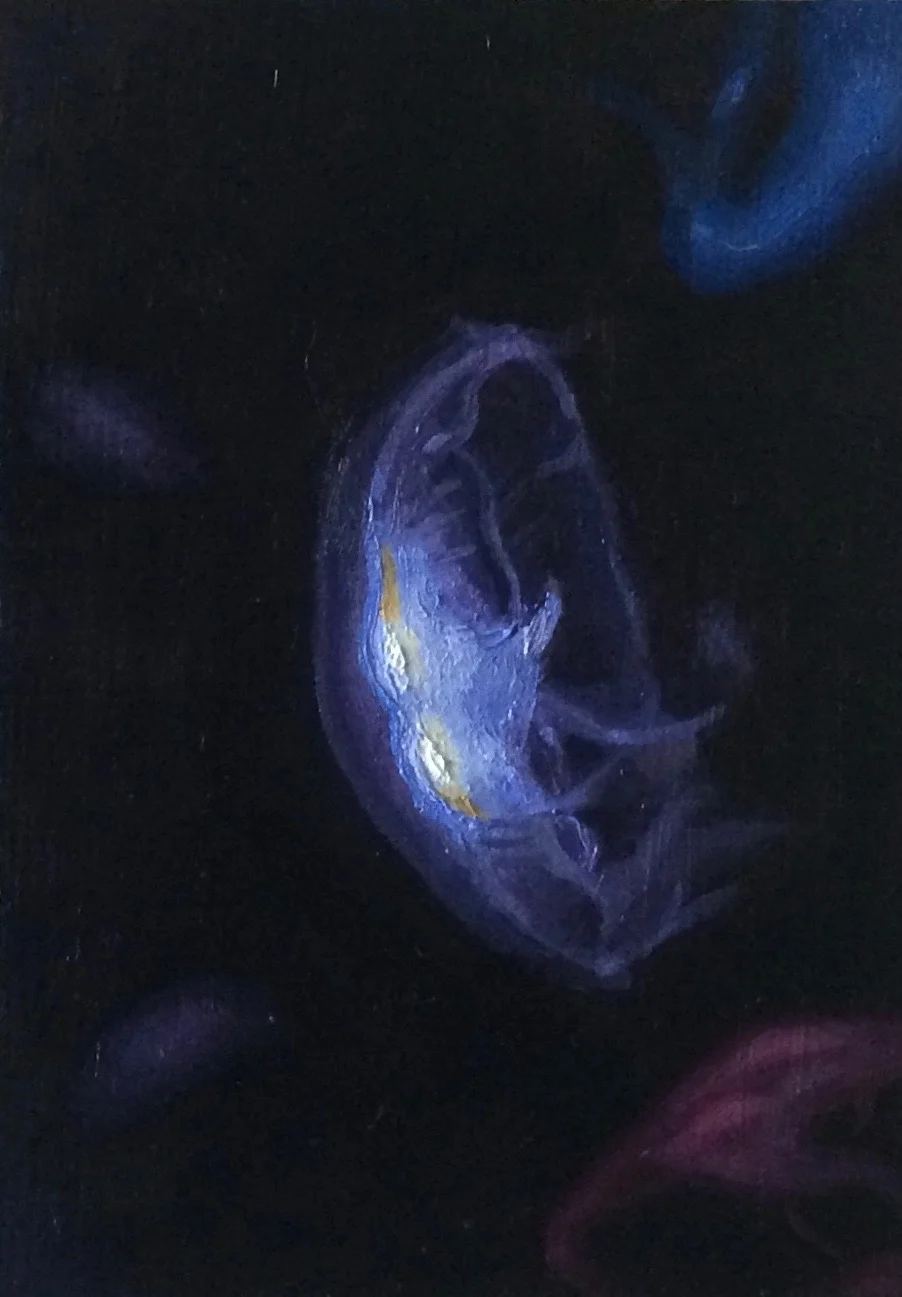 Quick Studies — Sofia Welch